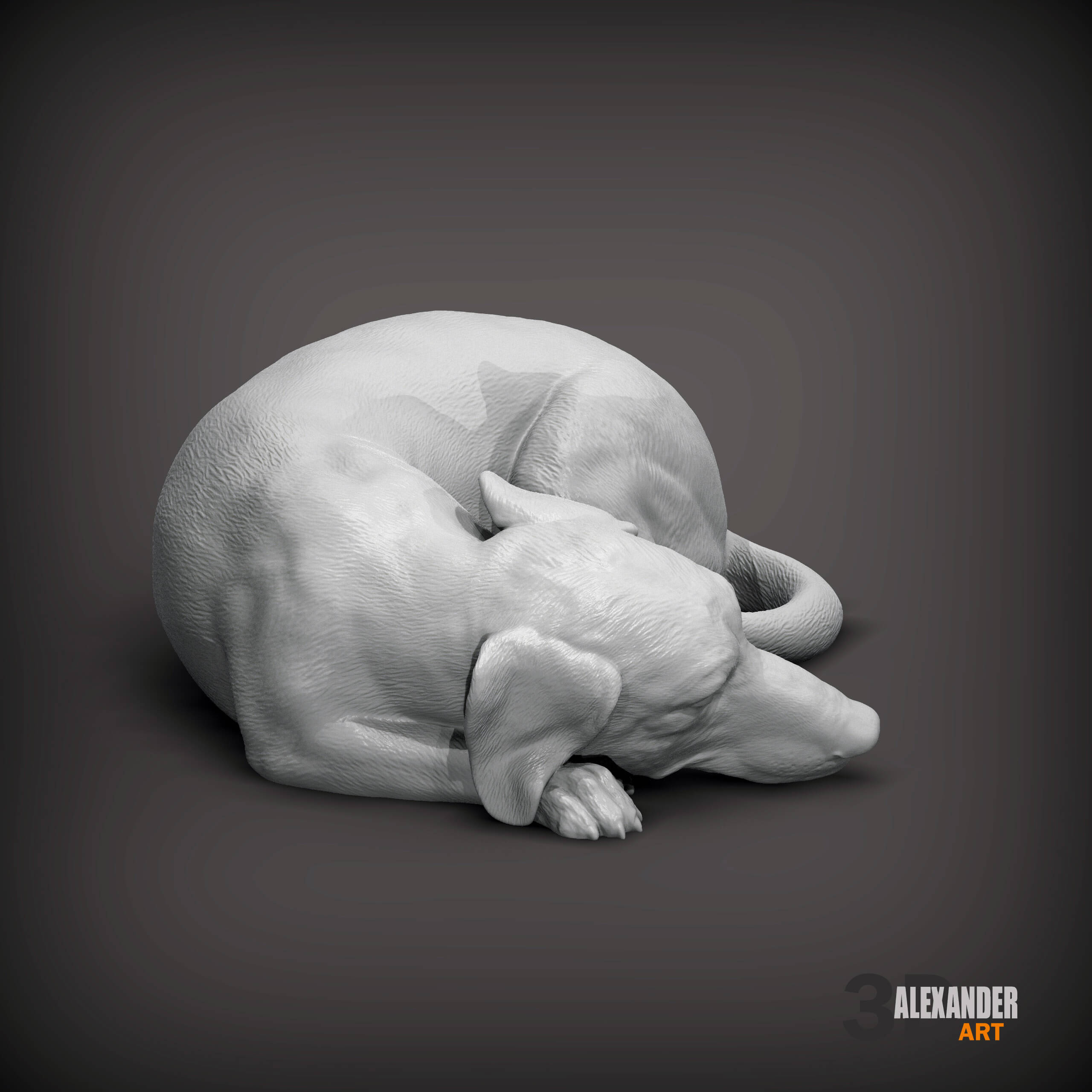 Dachshund Is Sleeping - 3D Model by Alexander3dart