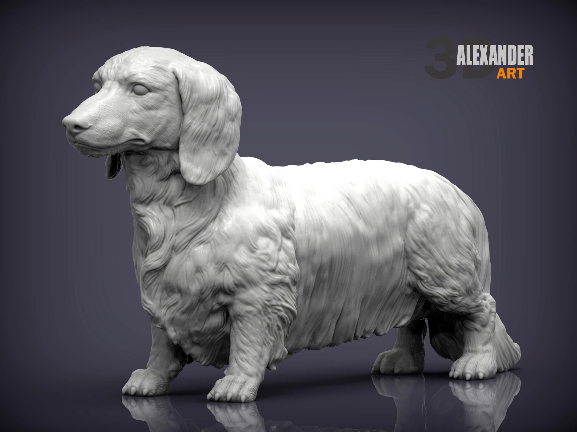 Dachshund Longhair 3D Print Model by Alexander3dart