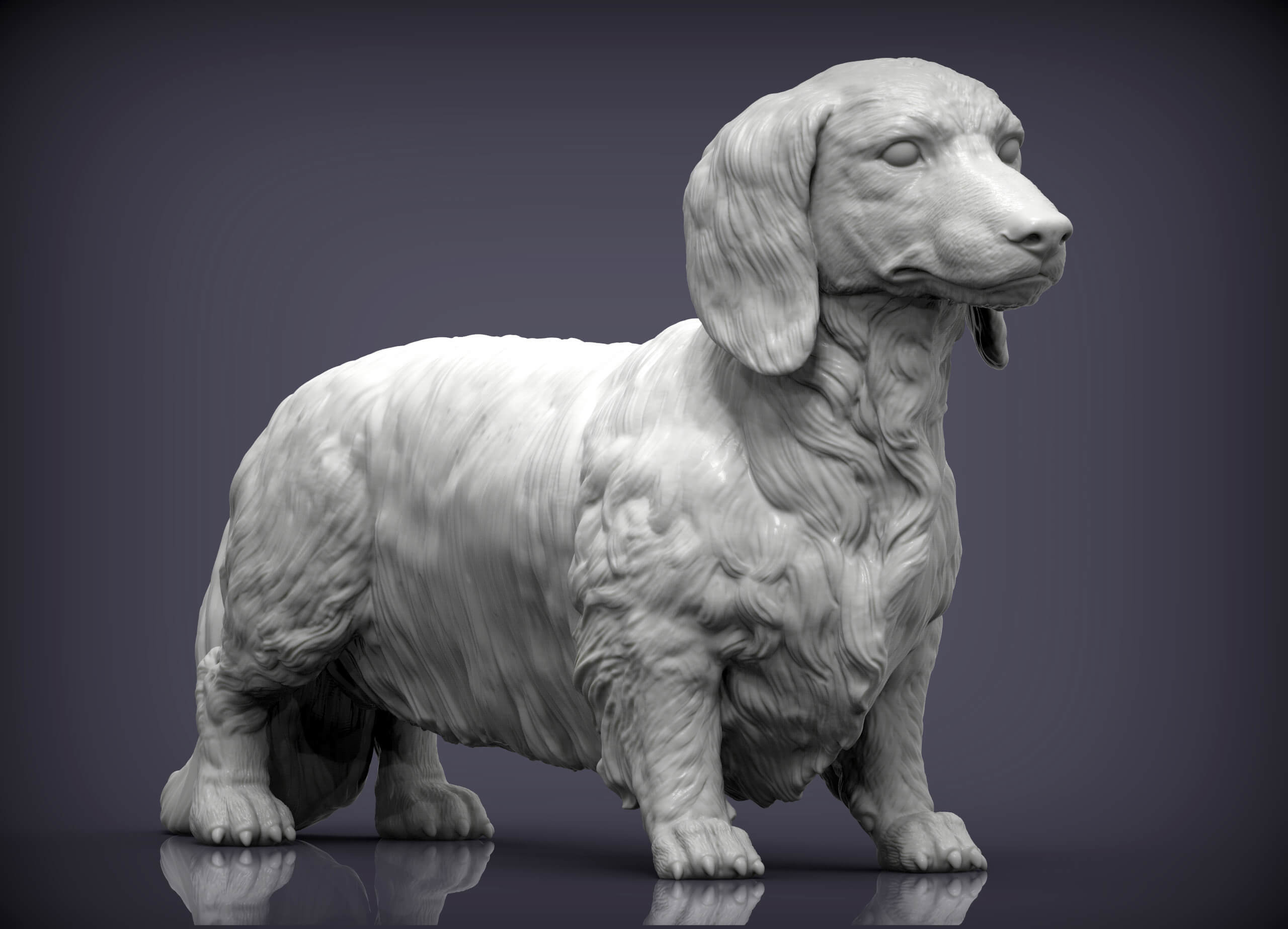 Dachshund Longhair 3D Print Model by Alexander3dart