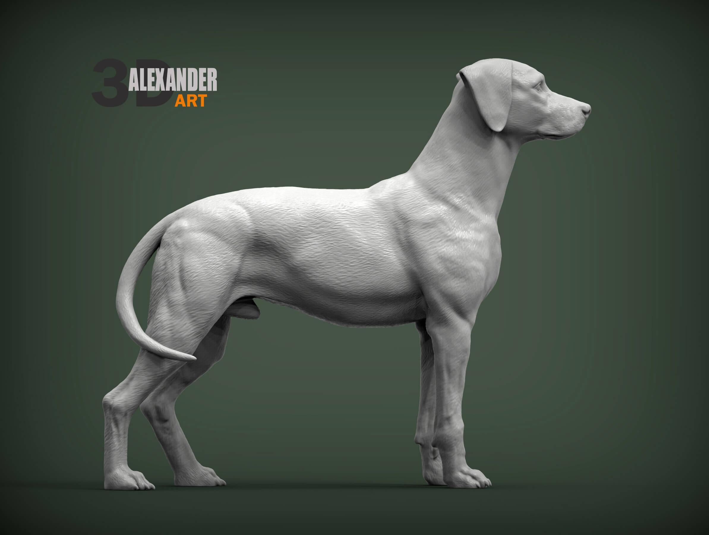 Dalmatian 3D Print Model by Alexander3dart