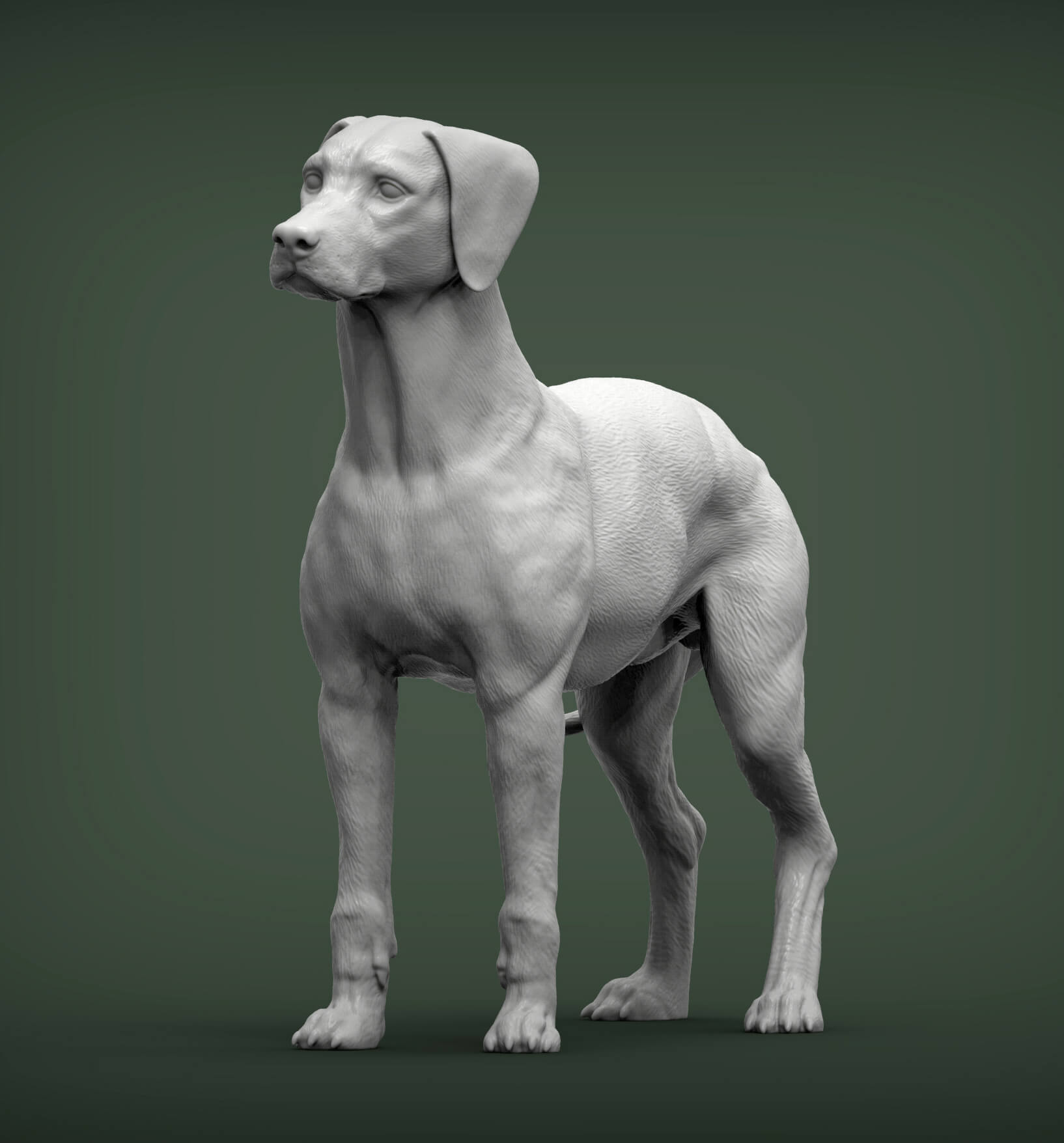 Dalmatian 3D Print Model by Alexander3dart