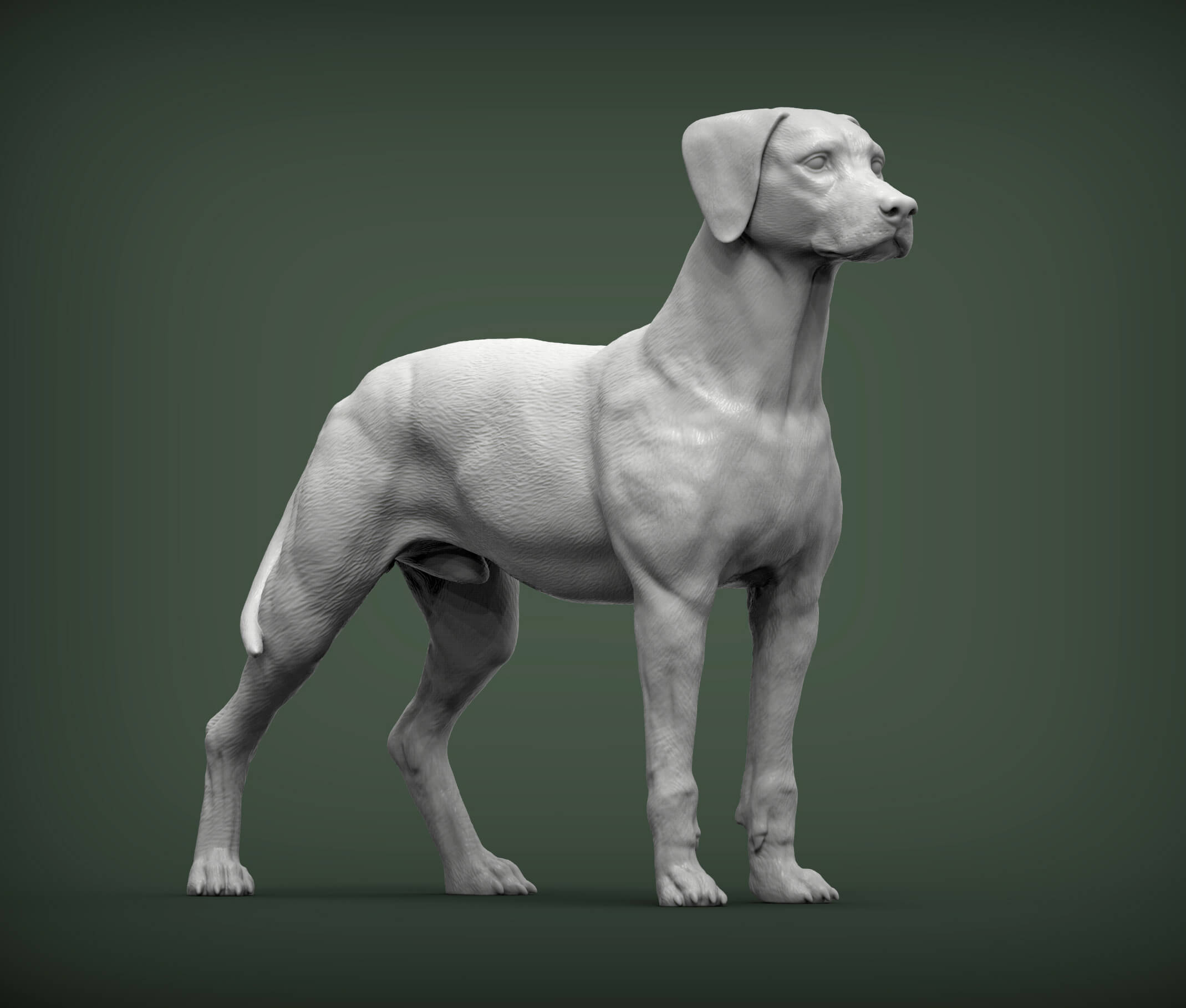 Dalmatian 3D Print Model by Alexander3dart