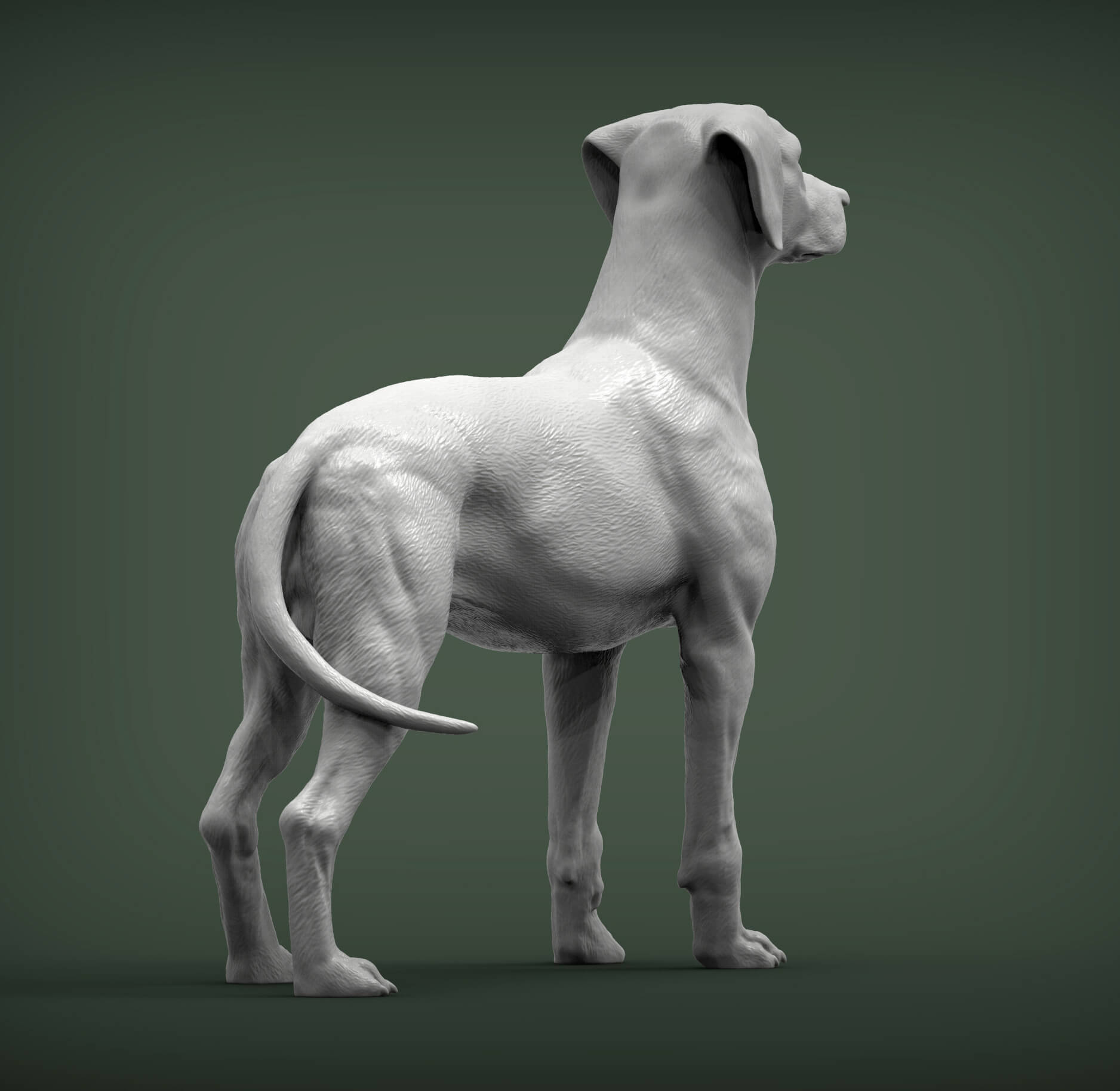Dalmatian 3D Print Model by Alexander3dart