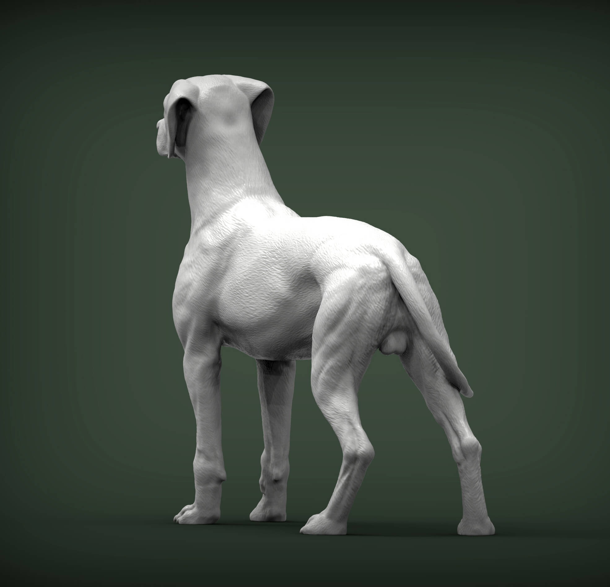 Dalmatian 3D Print Model by Alexander3dart