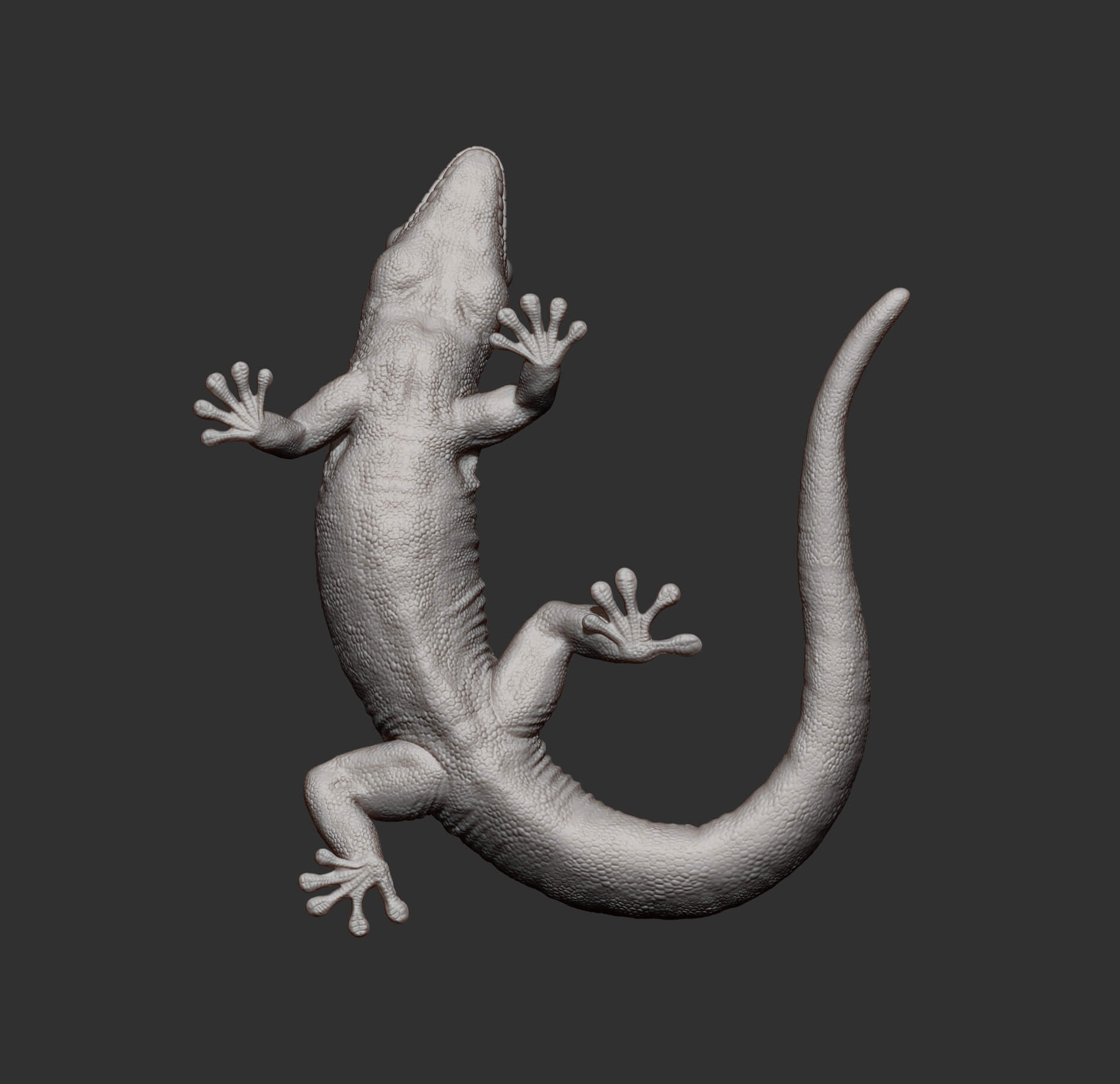 Day Gecko Sculpture - 3D Model by Alexander3dart