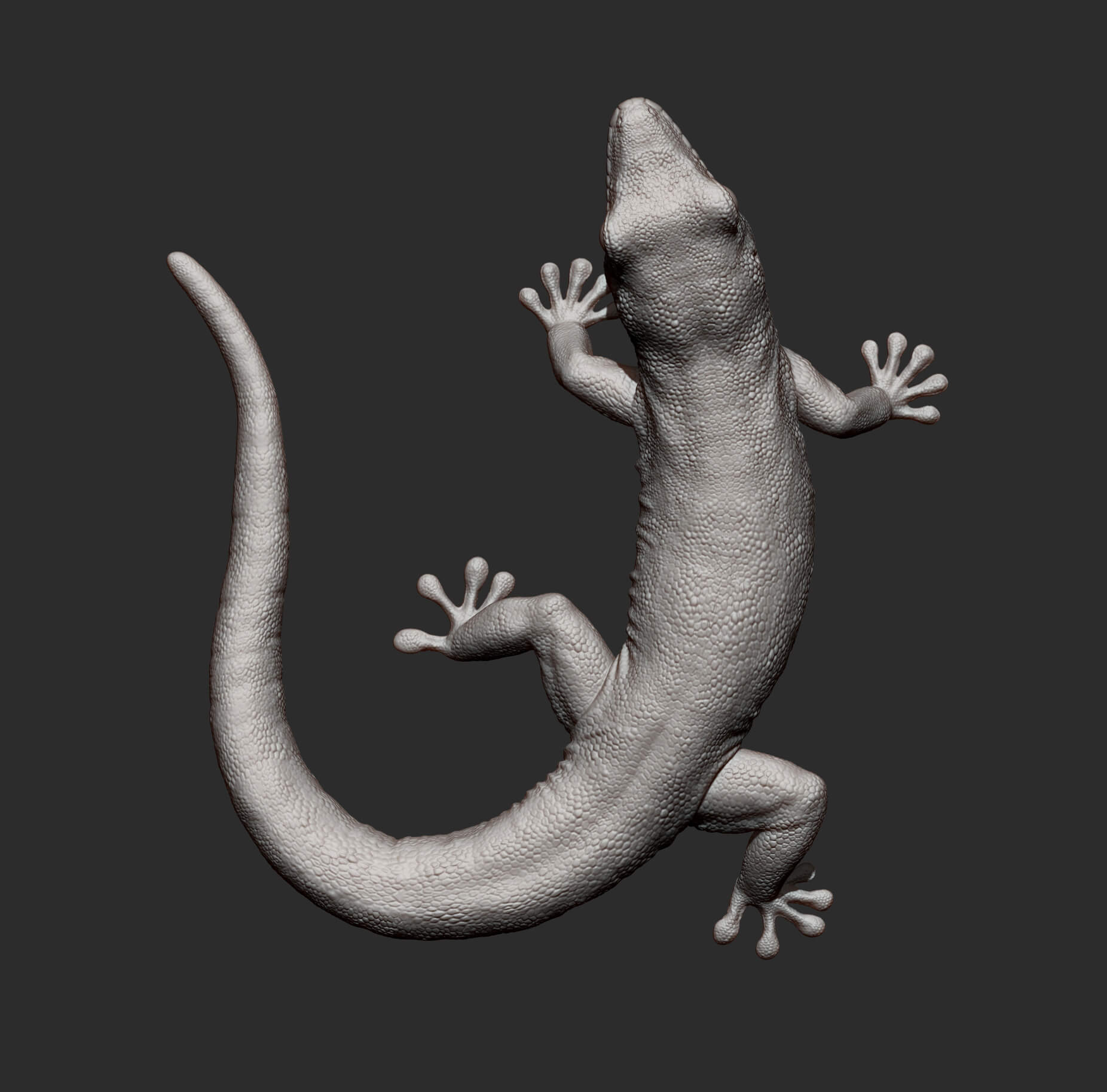 Day Gecko Sculpture - 3D Model by Alexander3dart