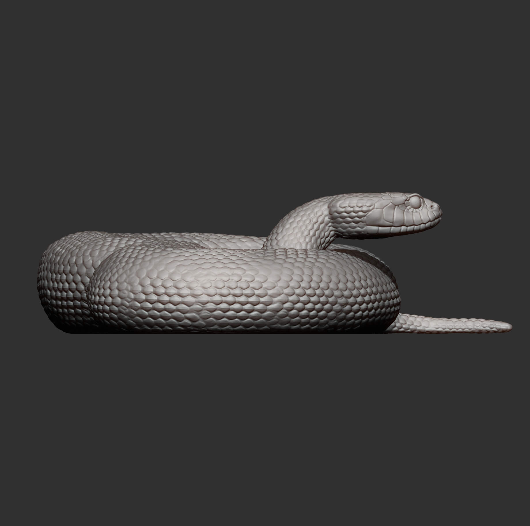 Death Adder Sculpture - 3D Model by Alexander3dart