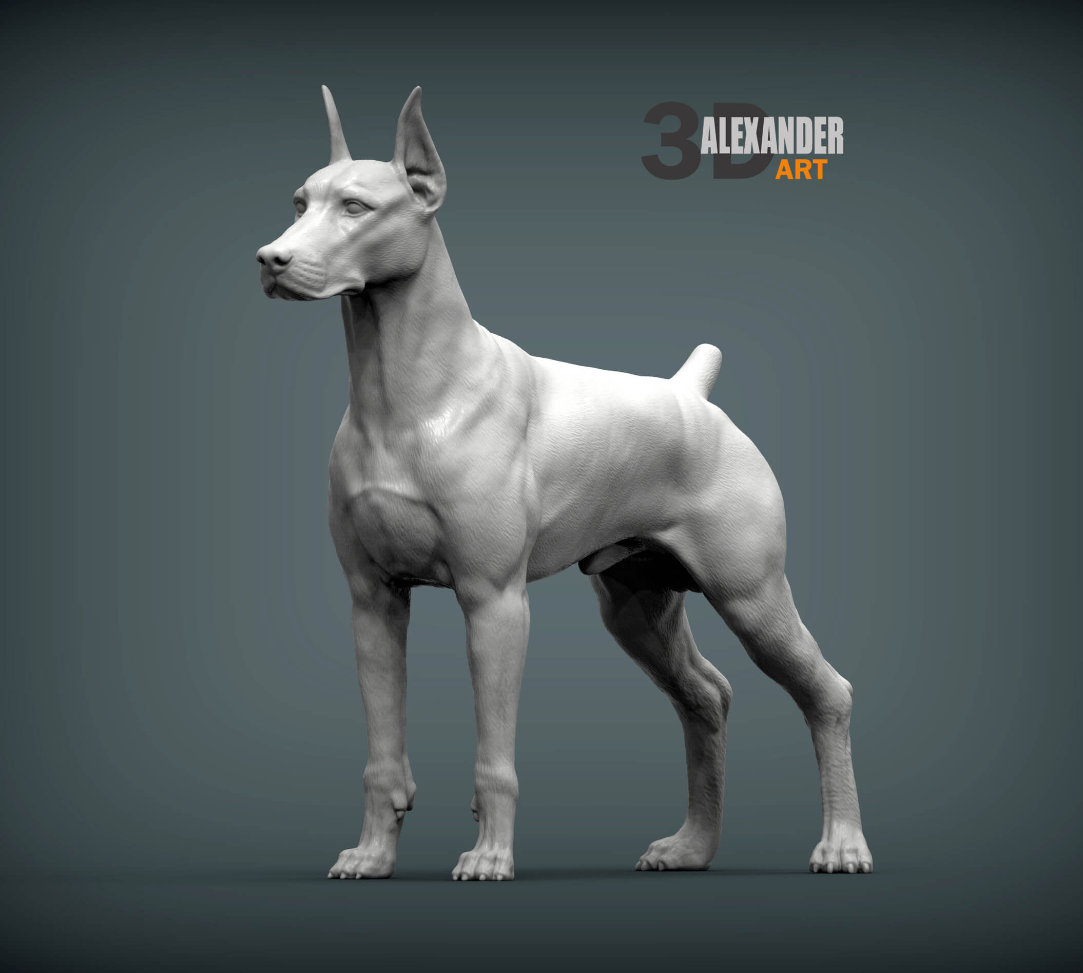 Doberman 3D Print Model by Alexander3dart