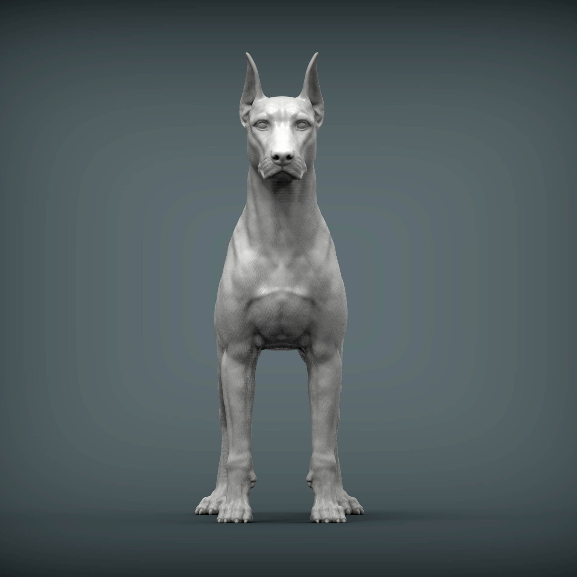 Doberman 3D Print Model by Alexander3dart