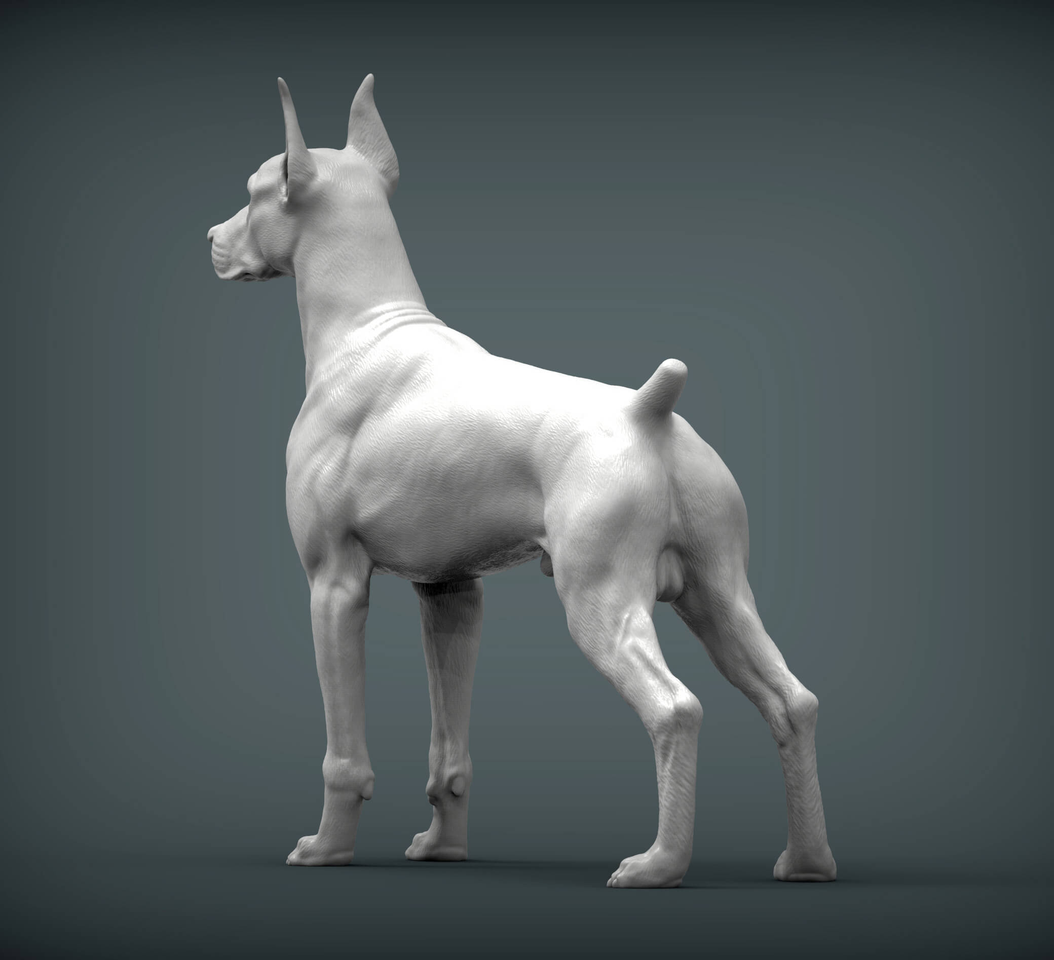 Doberman 3D Print Model by Alexander3dart