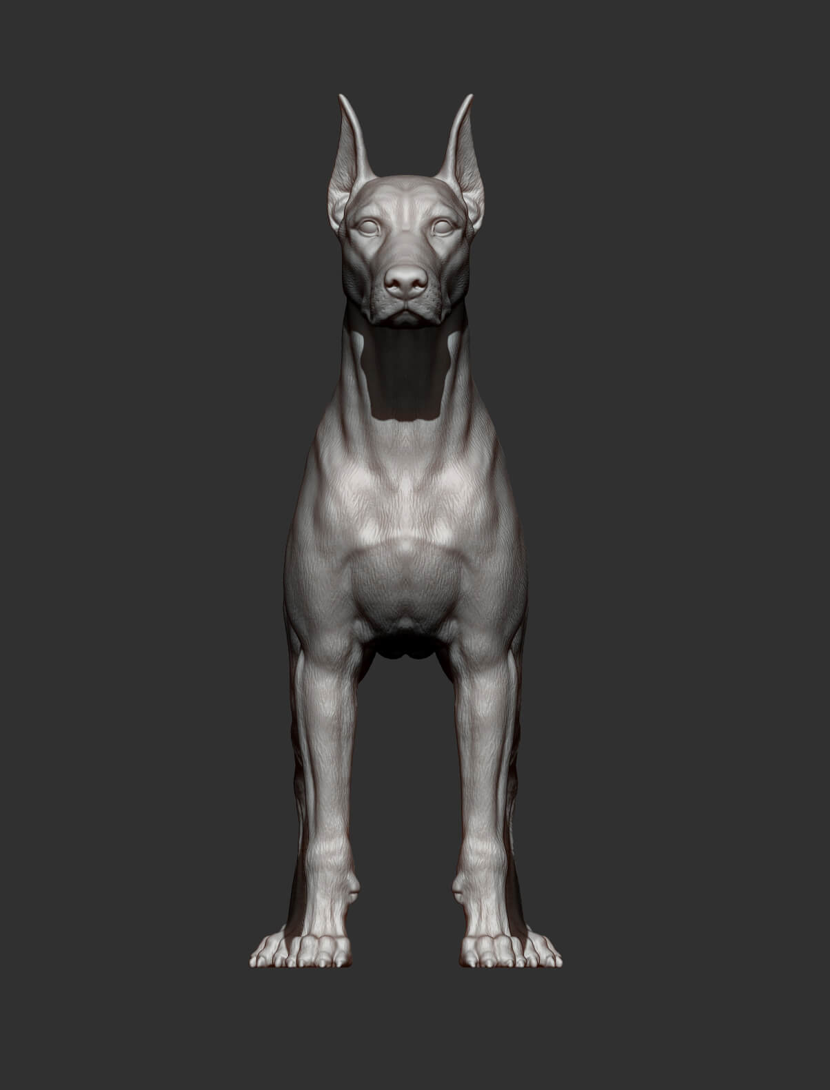 Doberman 3D Print Model by Alexander3dart