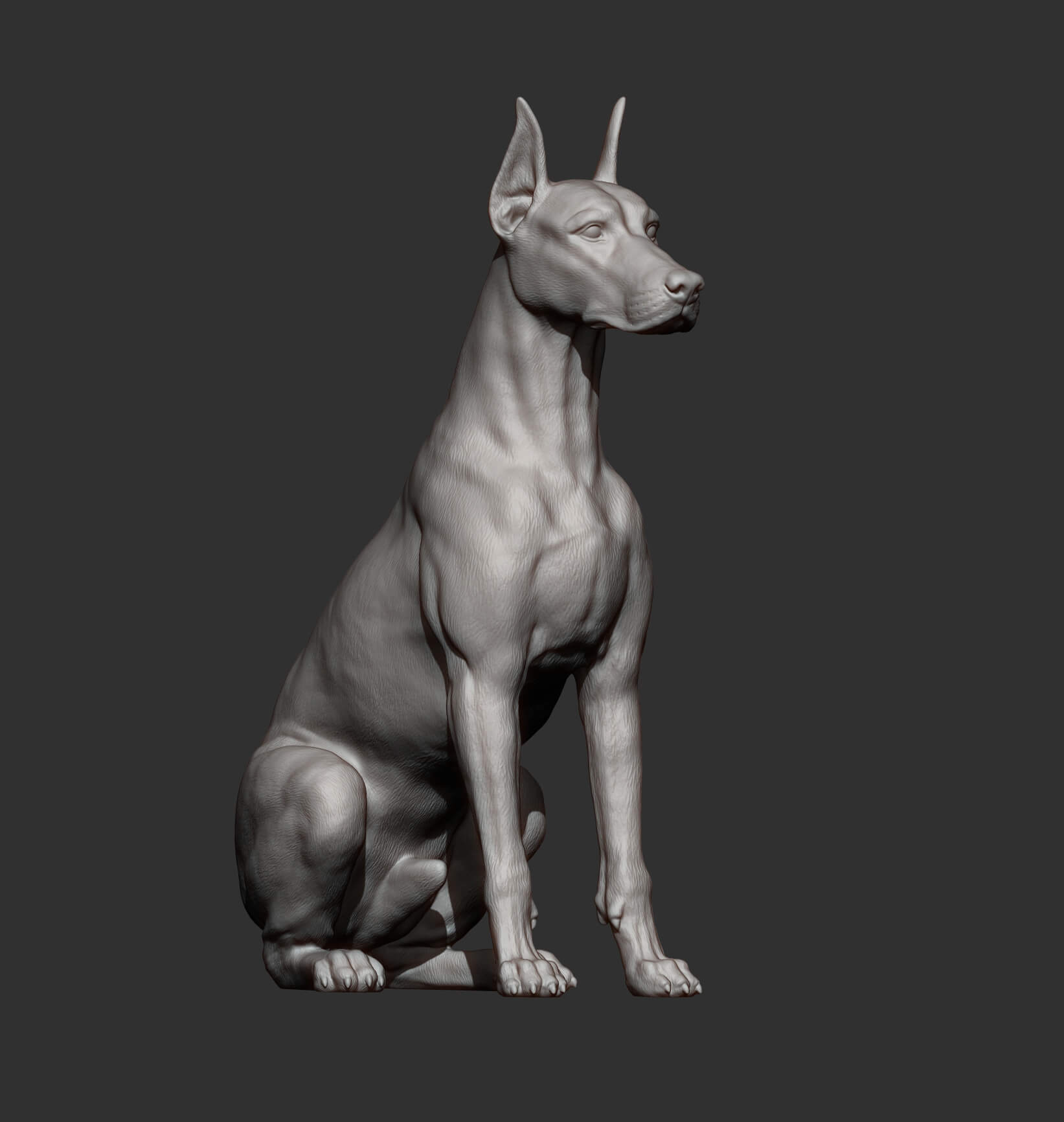 Doberman Is Sitting - 3D Model by Alexander3dart