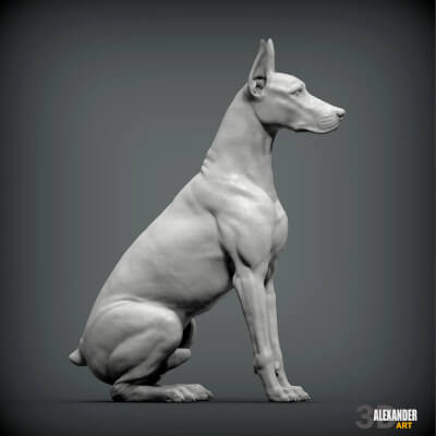 Doberman Is Sitting - 3D Model by Alexander3dart