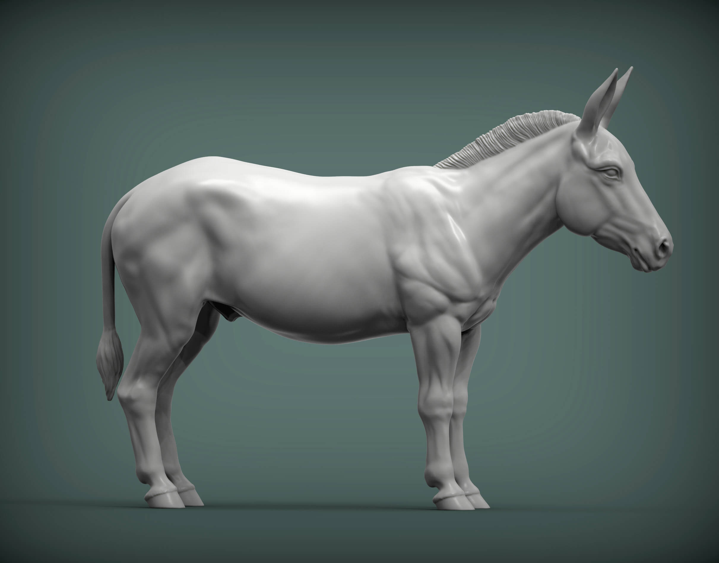 Donkey 3D Print Model by Alexander3dart