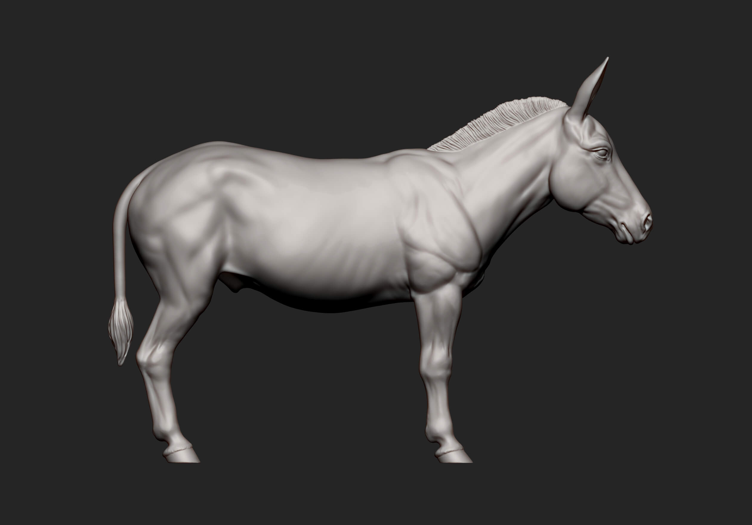 Donkey 3D Print Model by Alexander3dart