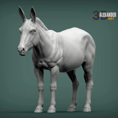 Print Ready 3D Models | Animals | Donkeys | RenderHub