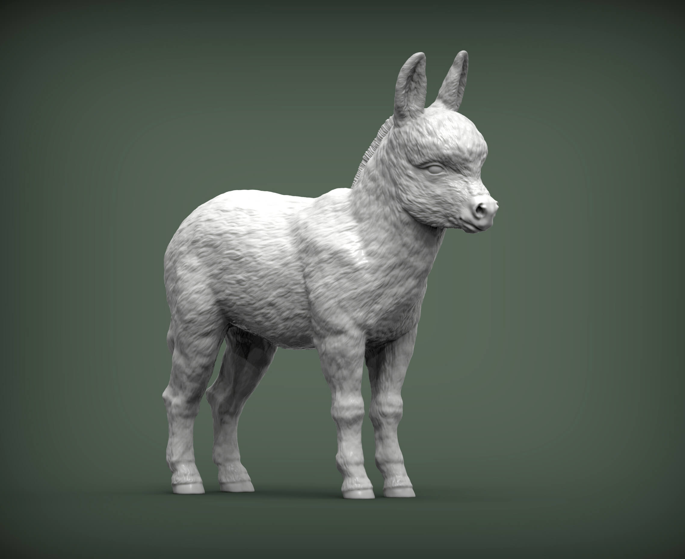 Donkey Baby 3D Print Model by Alexander3dart