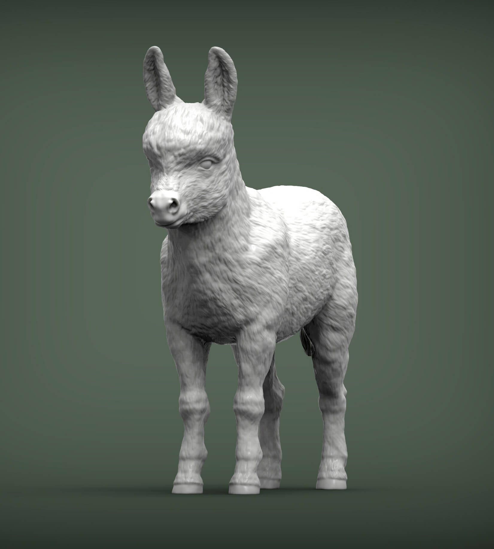 Donkey Baby 3D Print Model by Alexander3dart