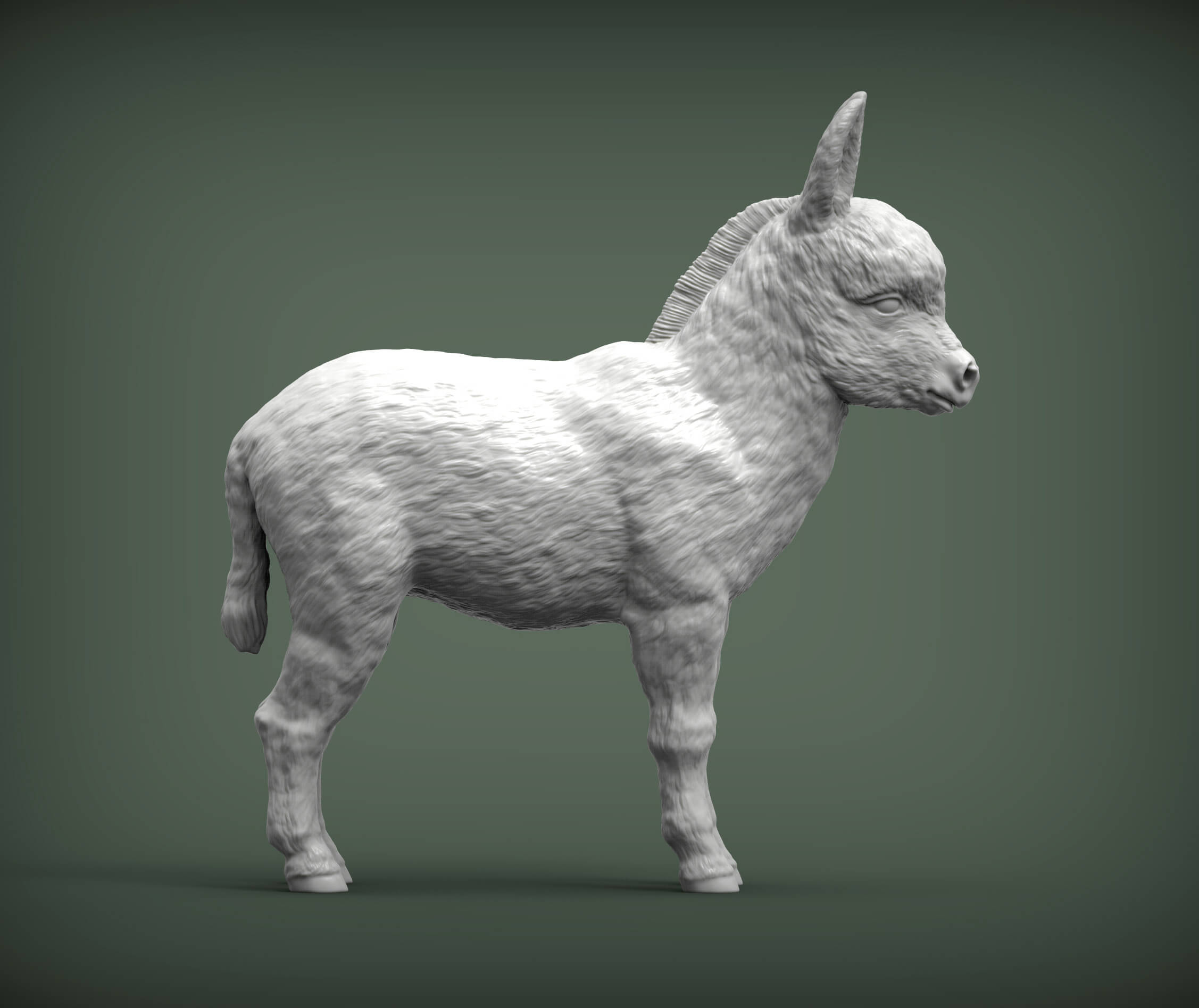 Donkey Baby 3D Print Model by Alexander3dart