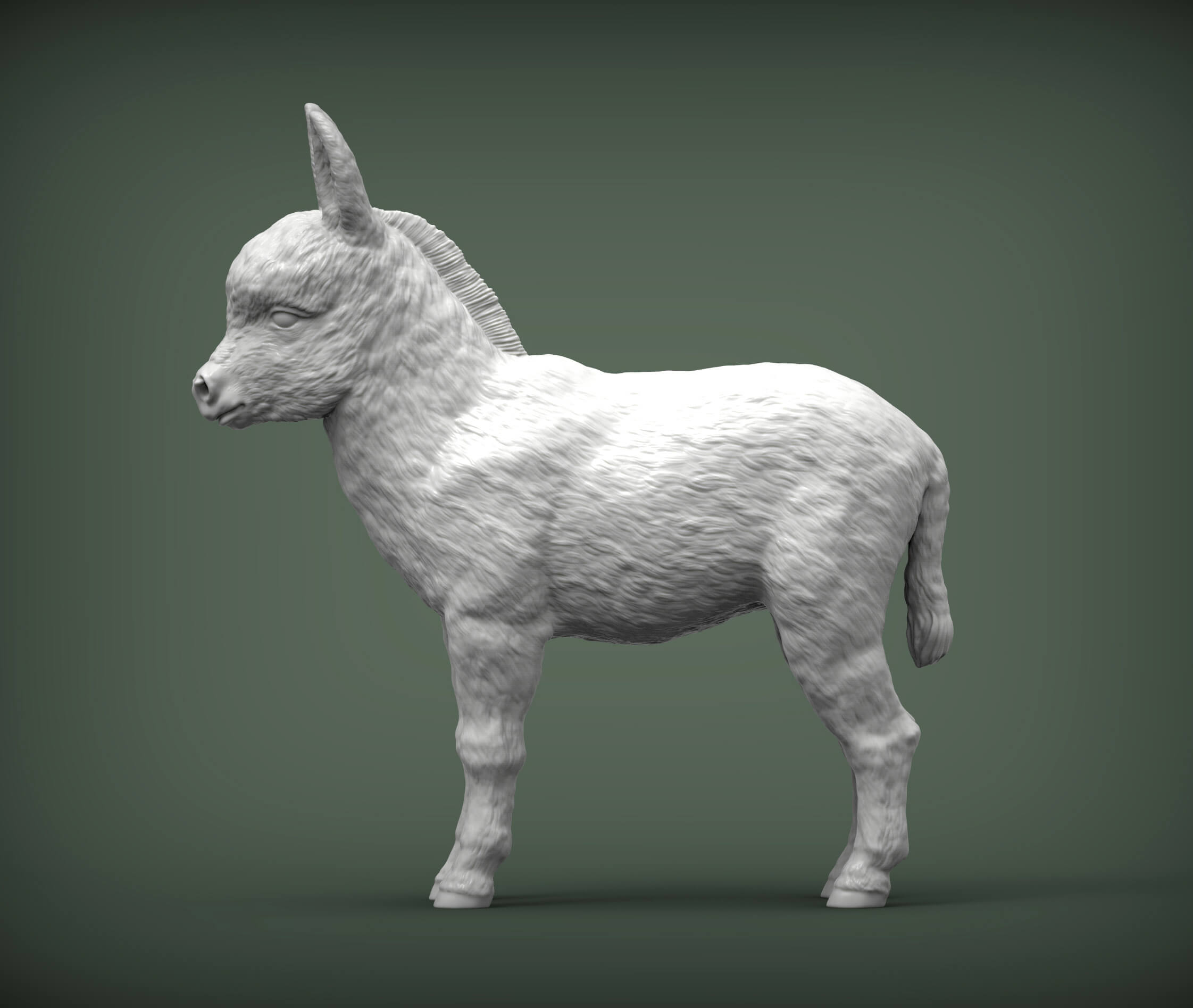 Donkey Baby 3D Print Model by Alexander3dart