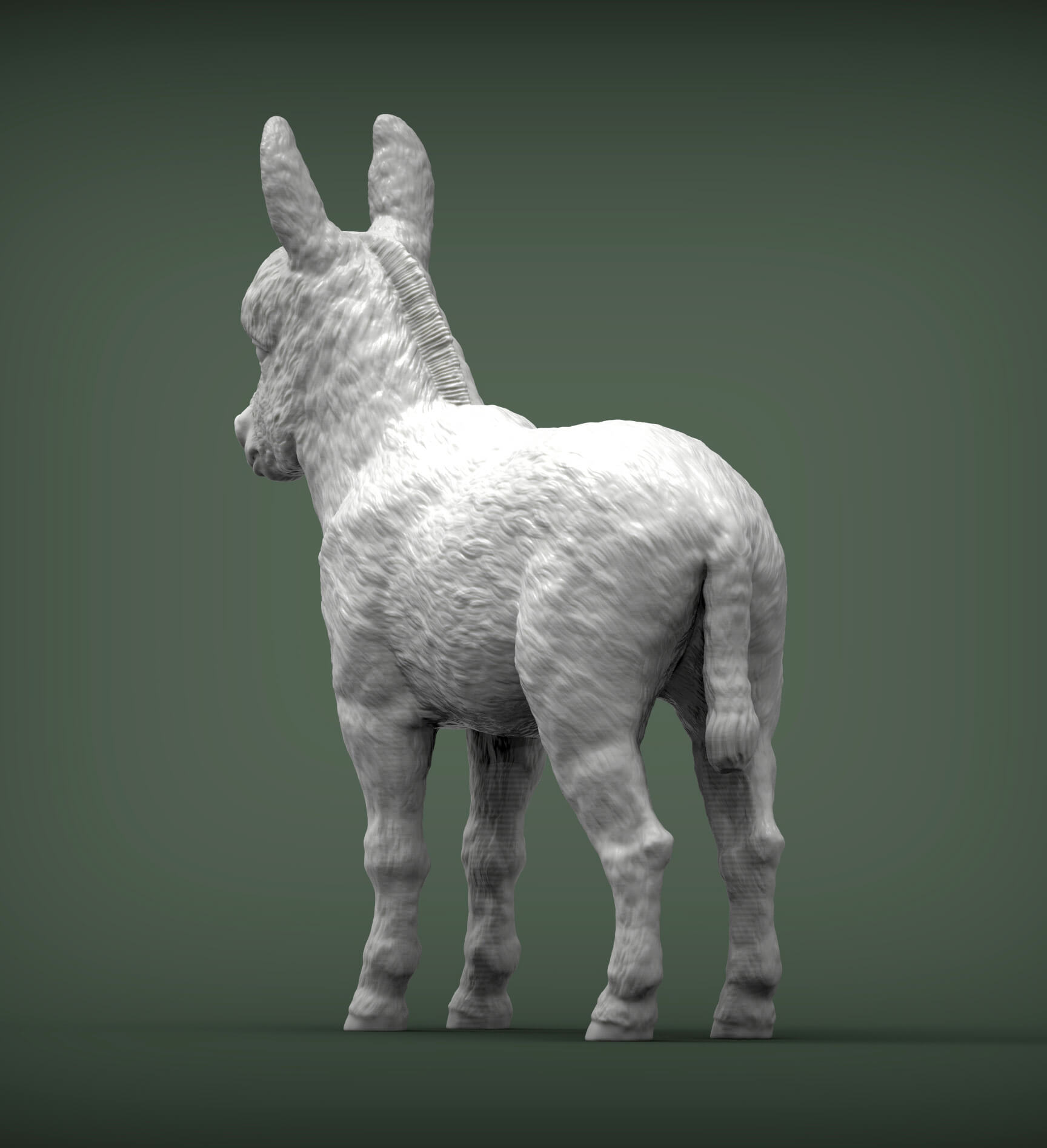 Donkey Baby 3D Print Model by Alexander3dart