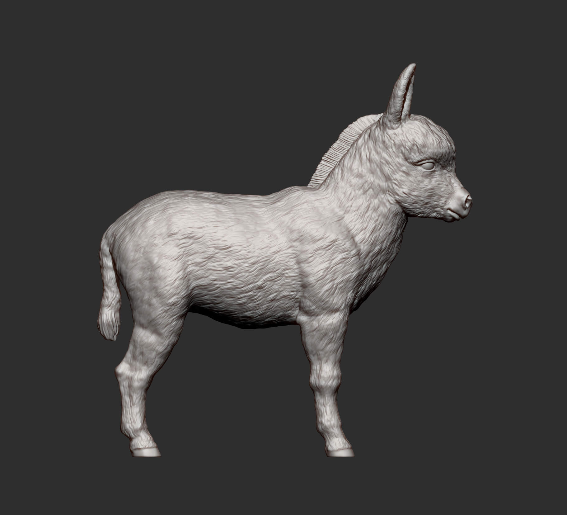 Donkey Baby 3D Print Model by Alexander3dart