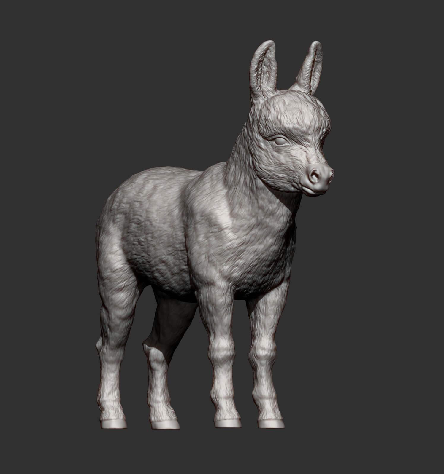 Donkey Baby 3D Print Model by Alexander3dart