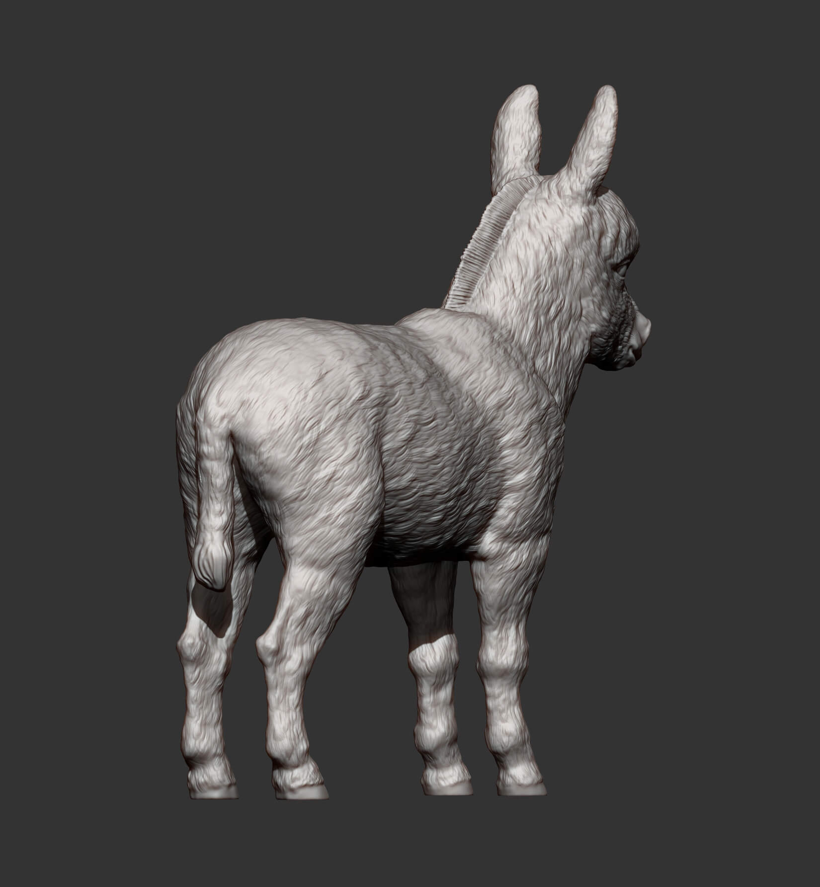 Donkey Baby 3D Print Model by Alexander3dart