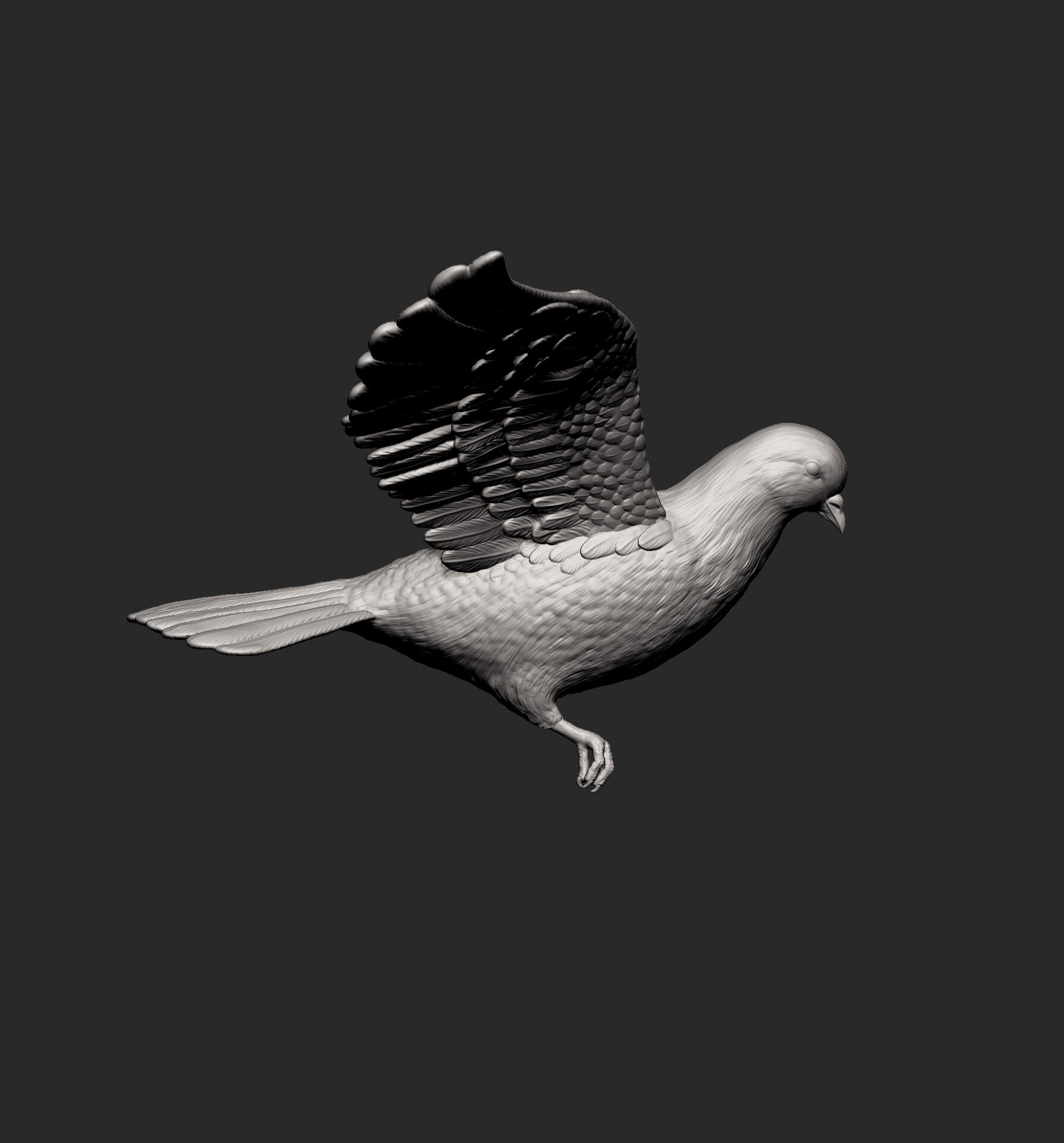 Dove Is Flying - 3D Model by Alexander3dart