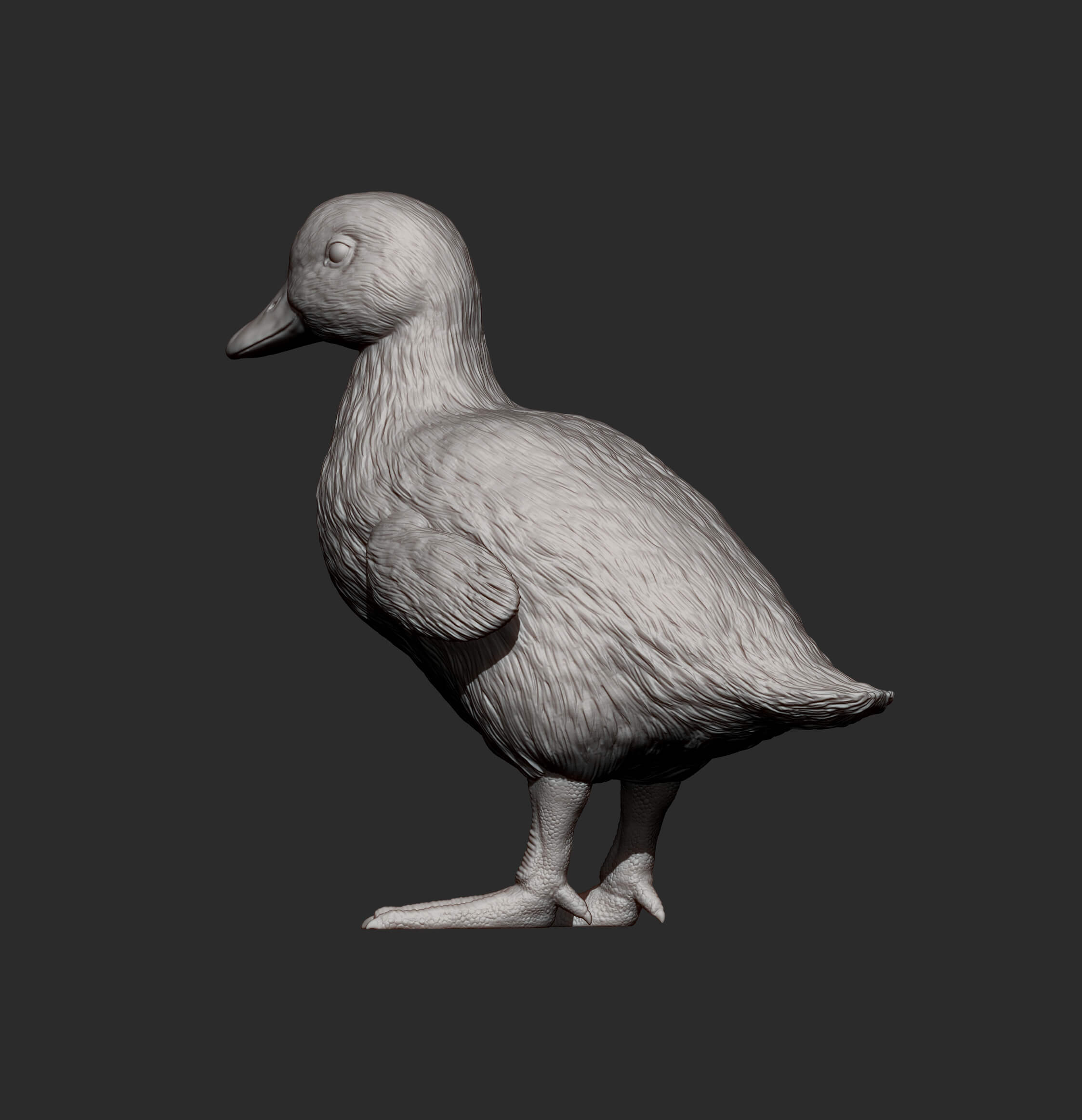 Duckling Sculpture - 3D Model by Alexander3dart