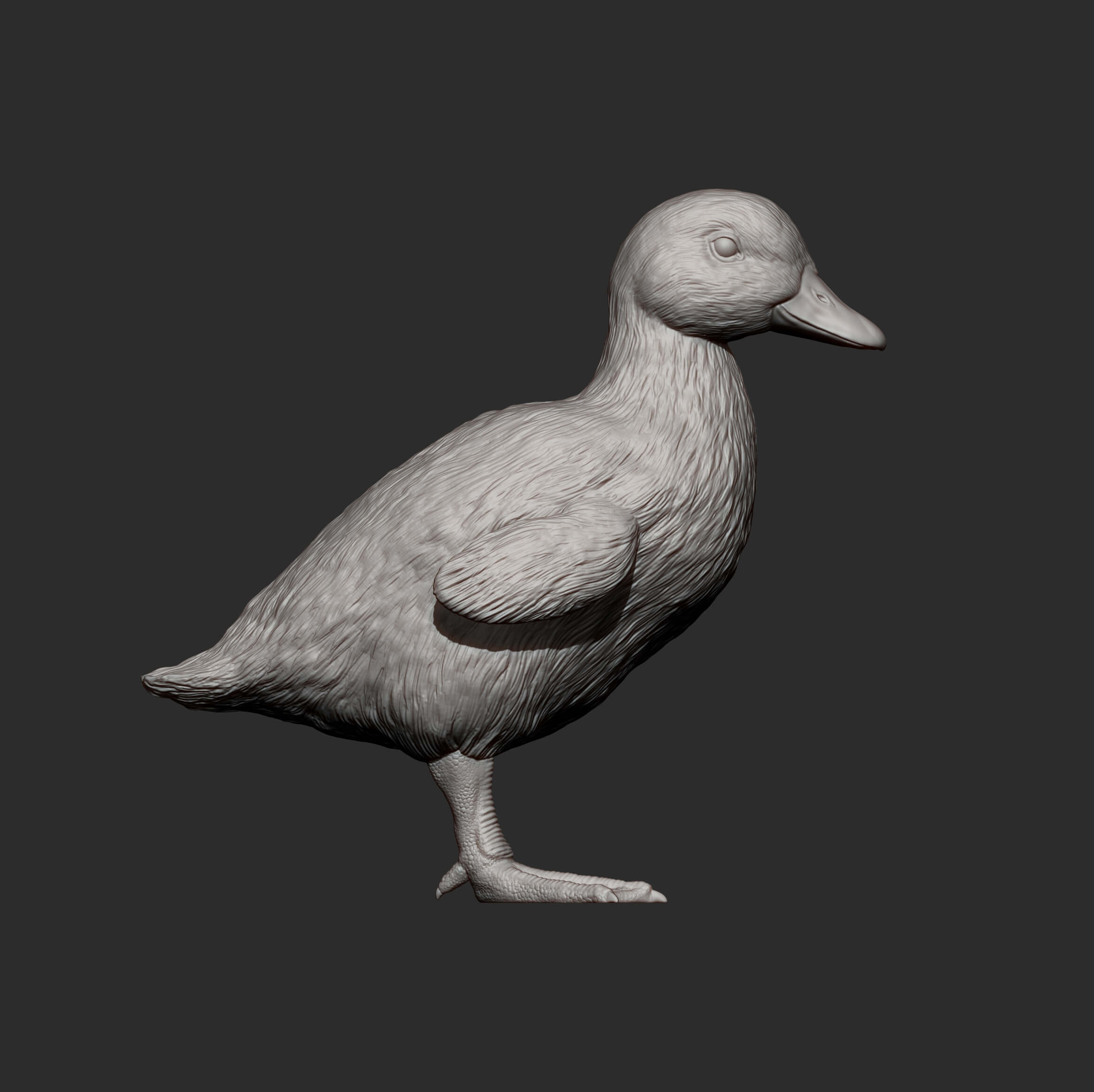 Duckling Sculpture - 3D Model by Alexander3dart