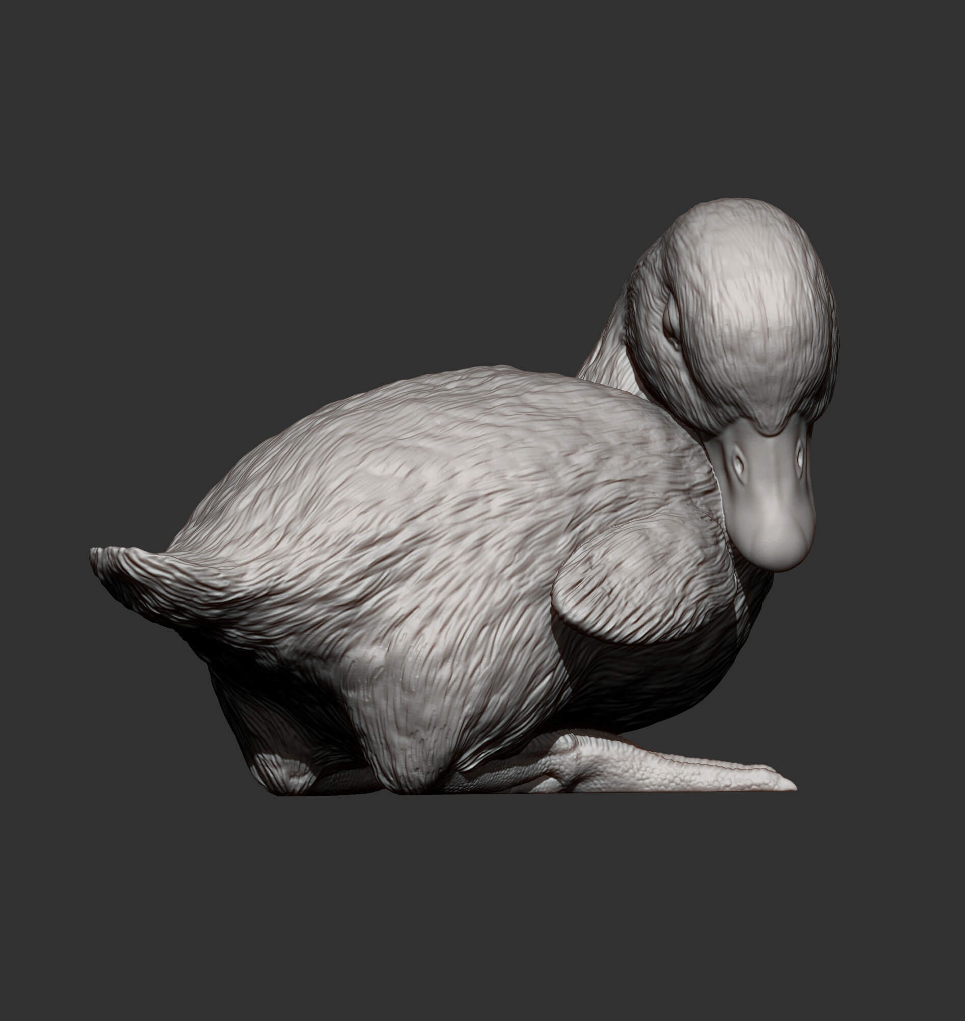 Duckling Lying Down - 3D Model by Alexander3dart