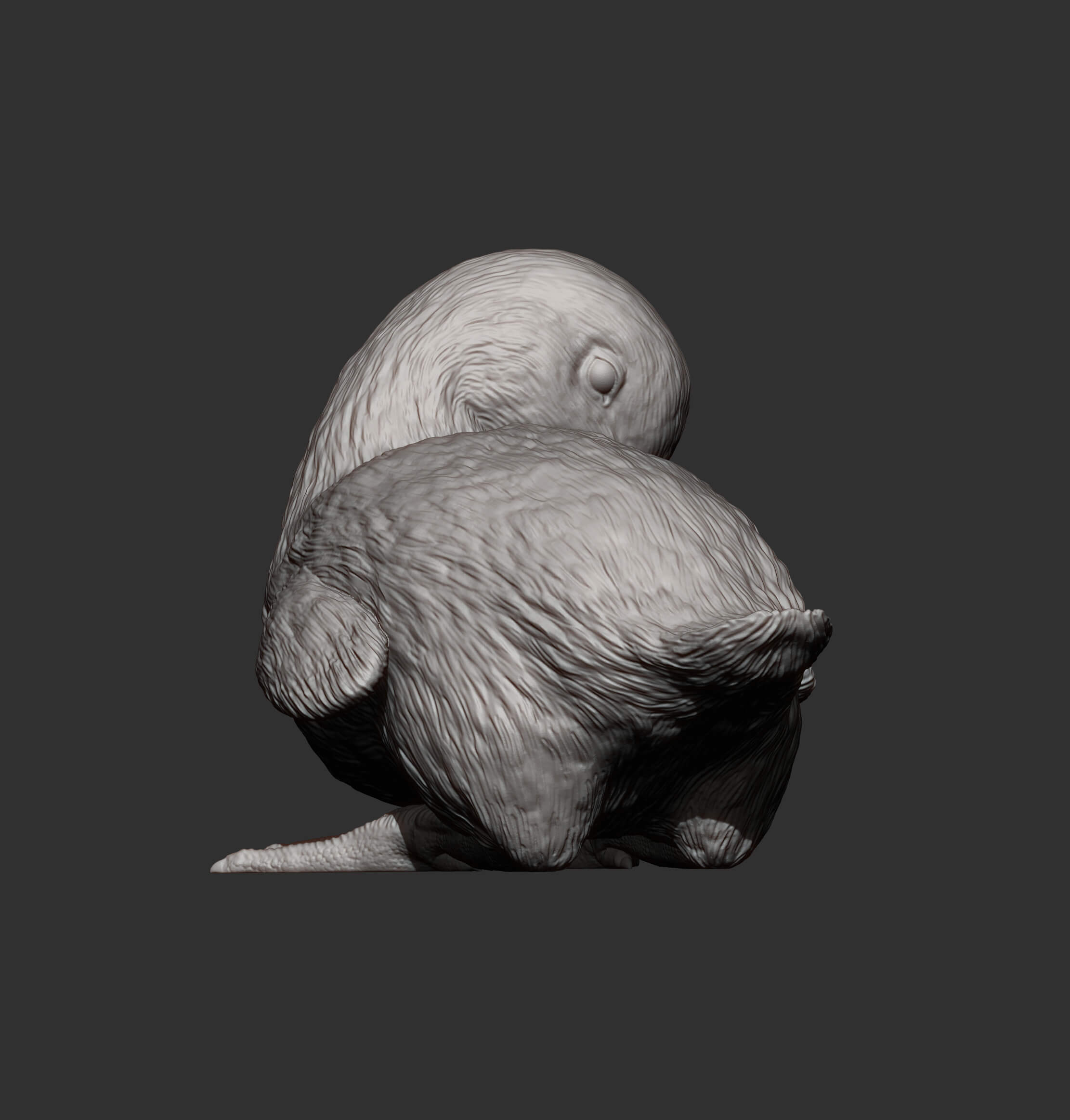 Duckling Lying Down - 3D Model by Alexander3dart