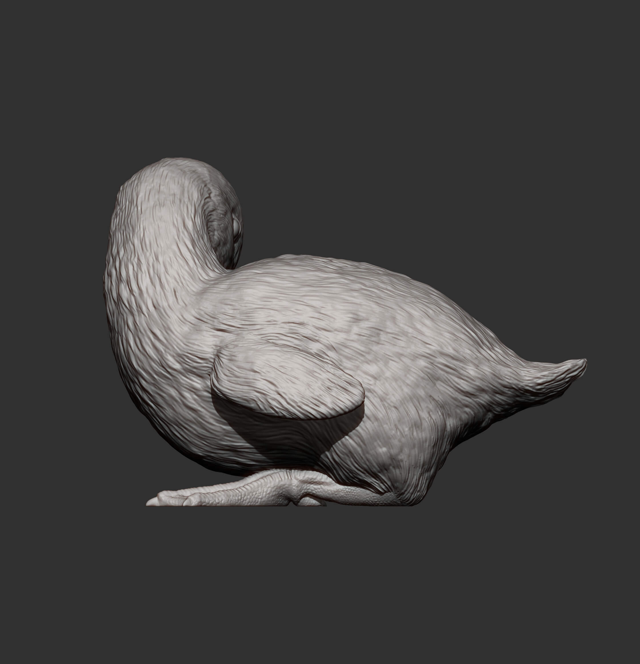 Duckling Lying Down - 3D Model by Alexander3dart