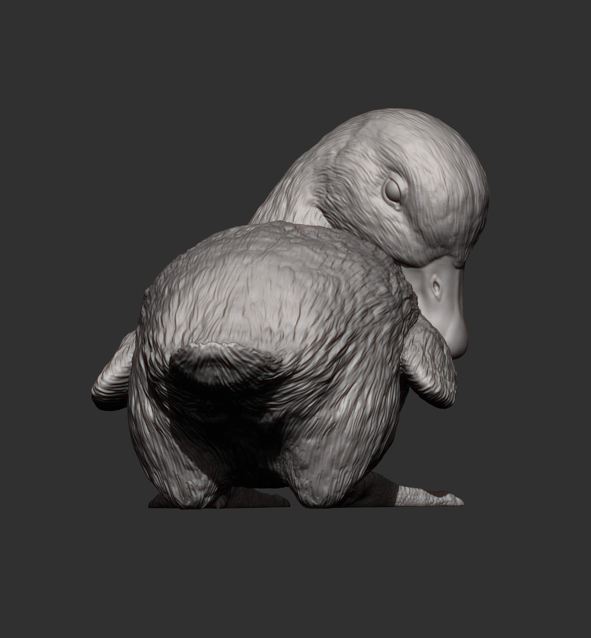 Duckling Lying Down - 3D Model by Alexander3dart