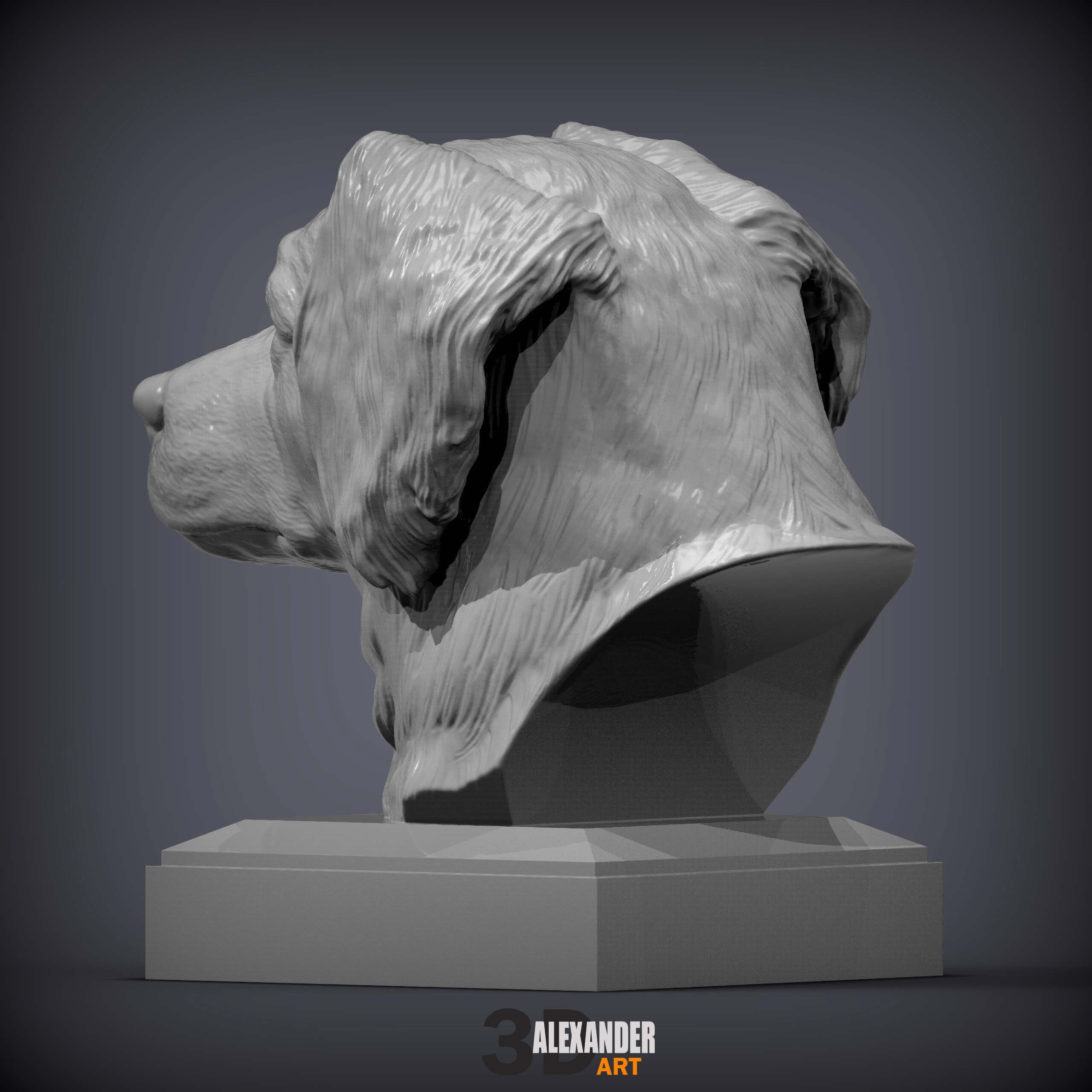 Dutch Kooiker Dog Bust - 3D Model by Alexander3dart