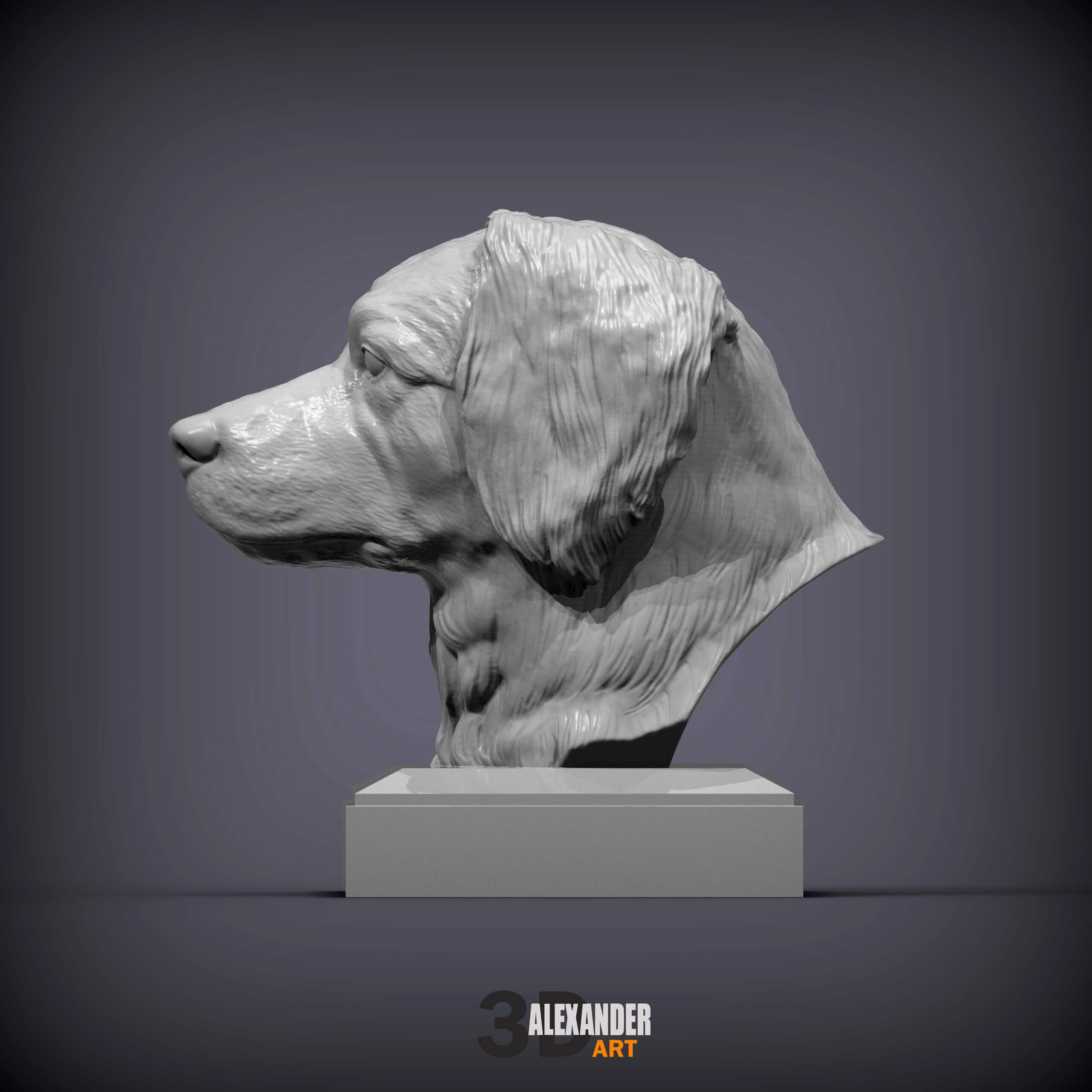 Dutch Kooiker Dog Bust - 3D Model by Alexander3dart