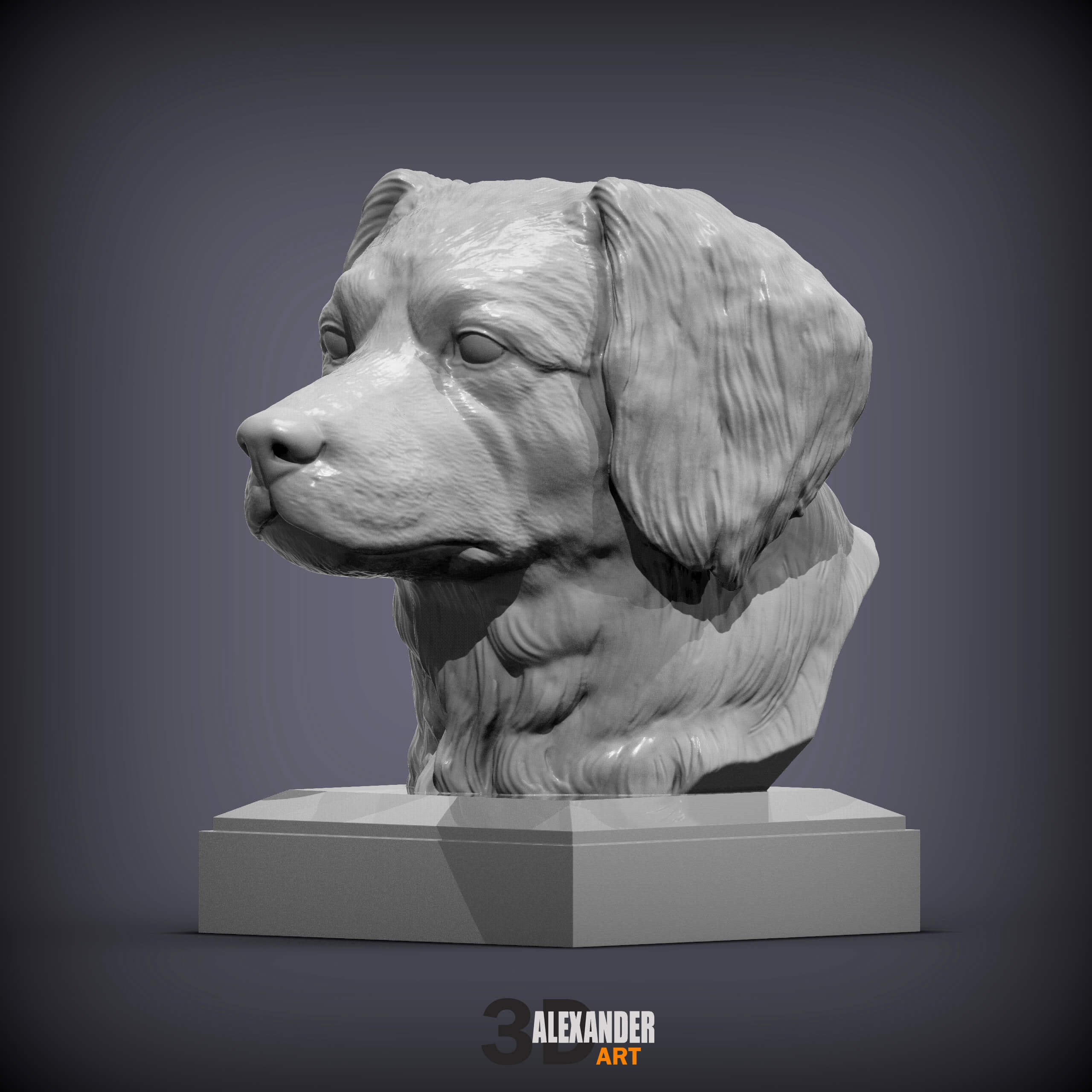 Dutch Kooiker Dog Bust - 3D Model by Alexander3dart