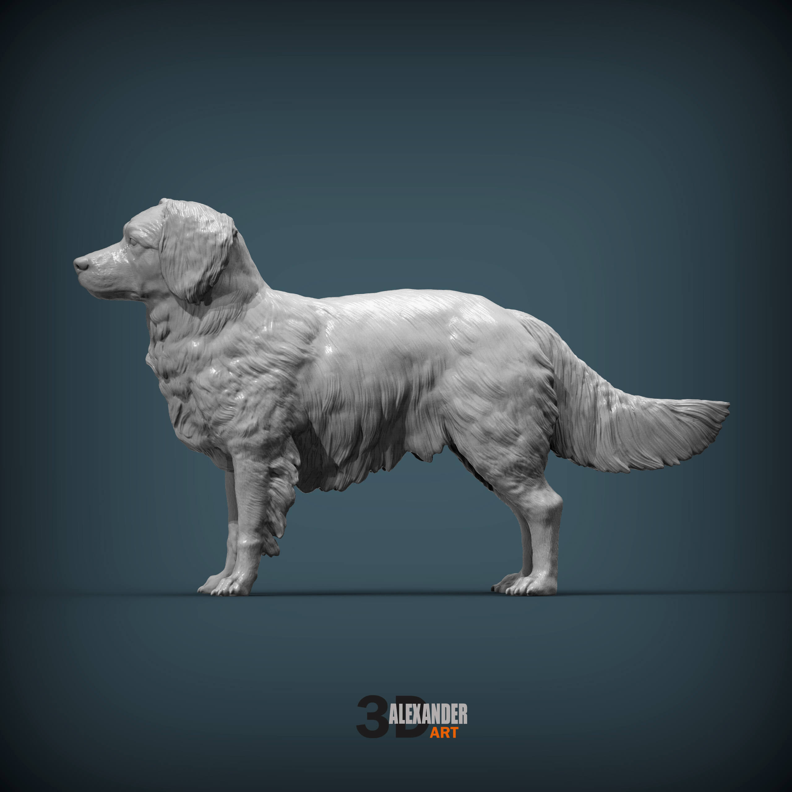 Dutch Kooiker Dog - 3D Model by Alexander3dart