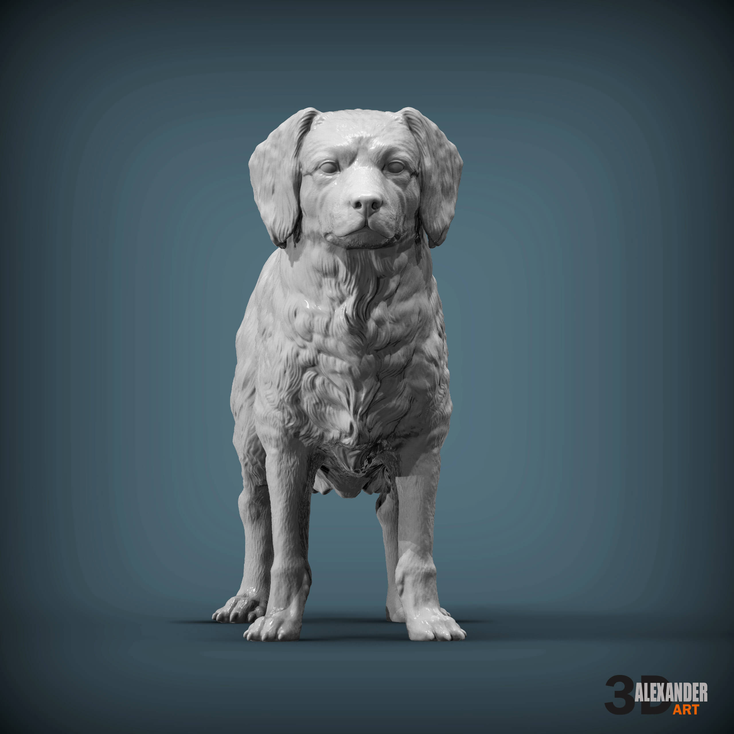 Dutch Kooiker Dog - 3D Model by Alexander3dart