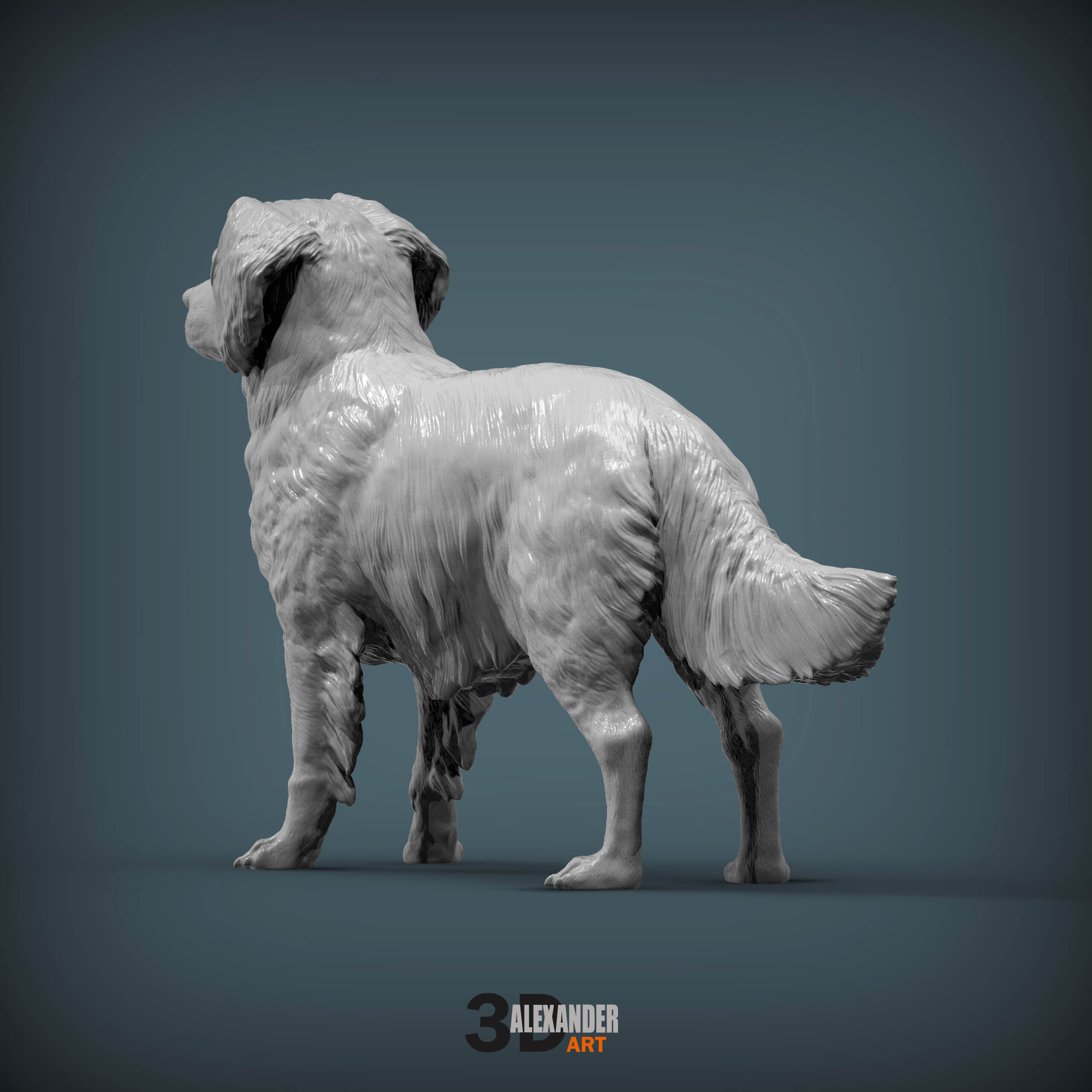 Dutch Kooiker Dog - 3D Model by Alexander3dart