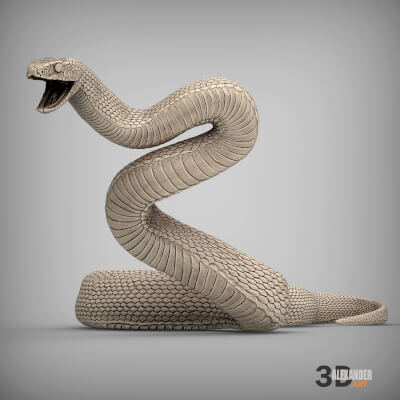 Ztl 3D Models | Reptiles | Snakes | RenderHub