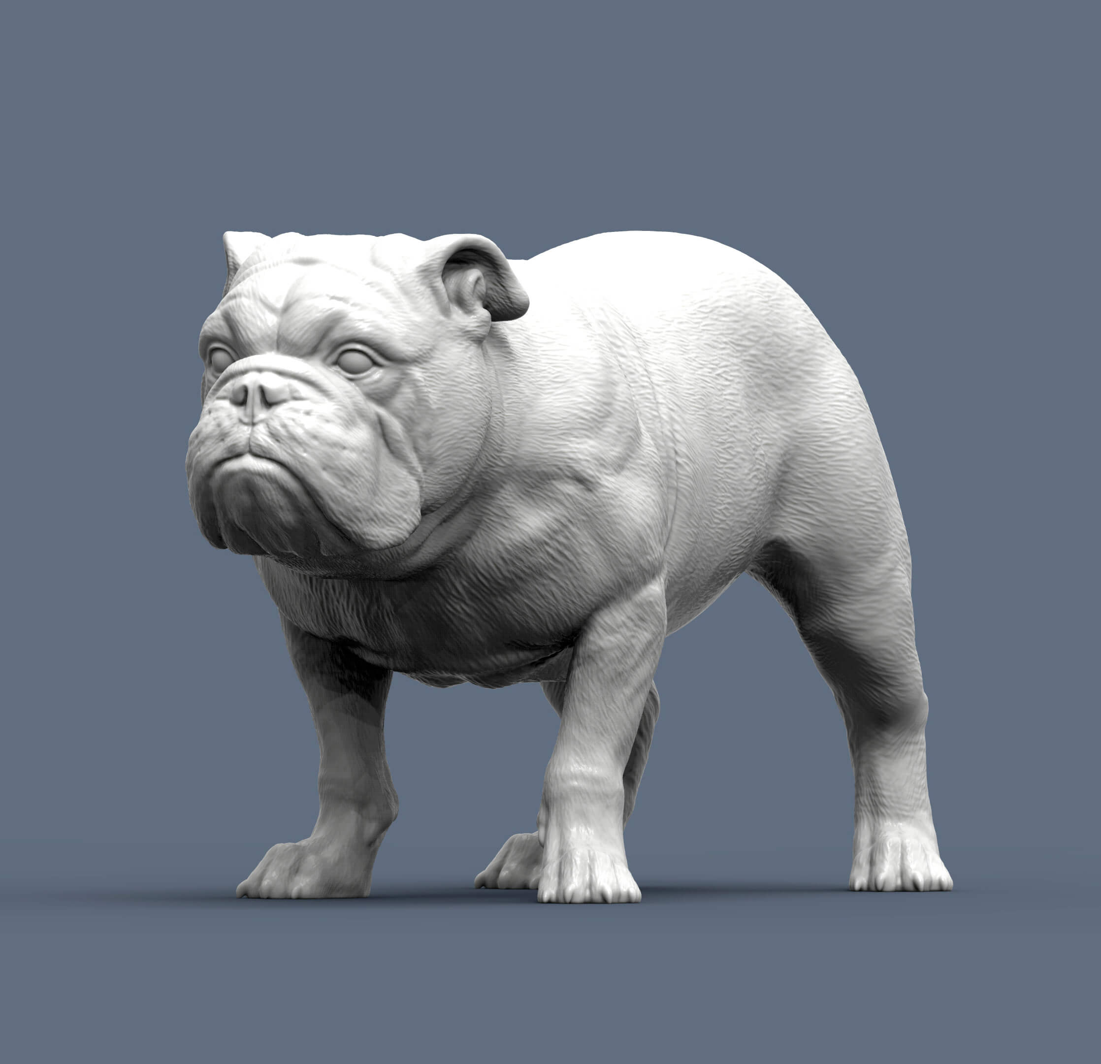 English Bulldog 3D Print Model by Alexander3dart
