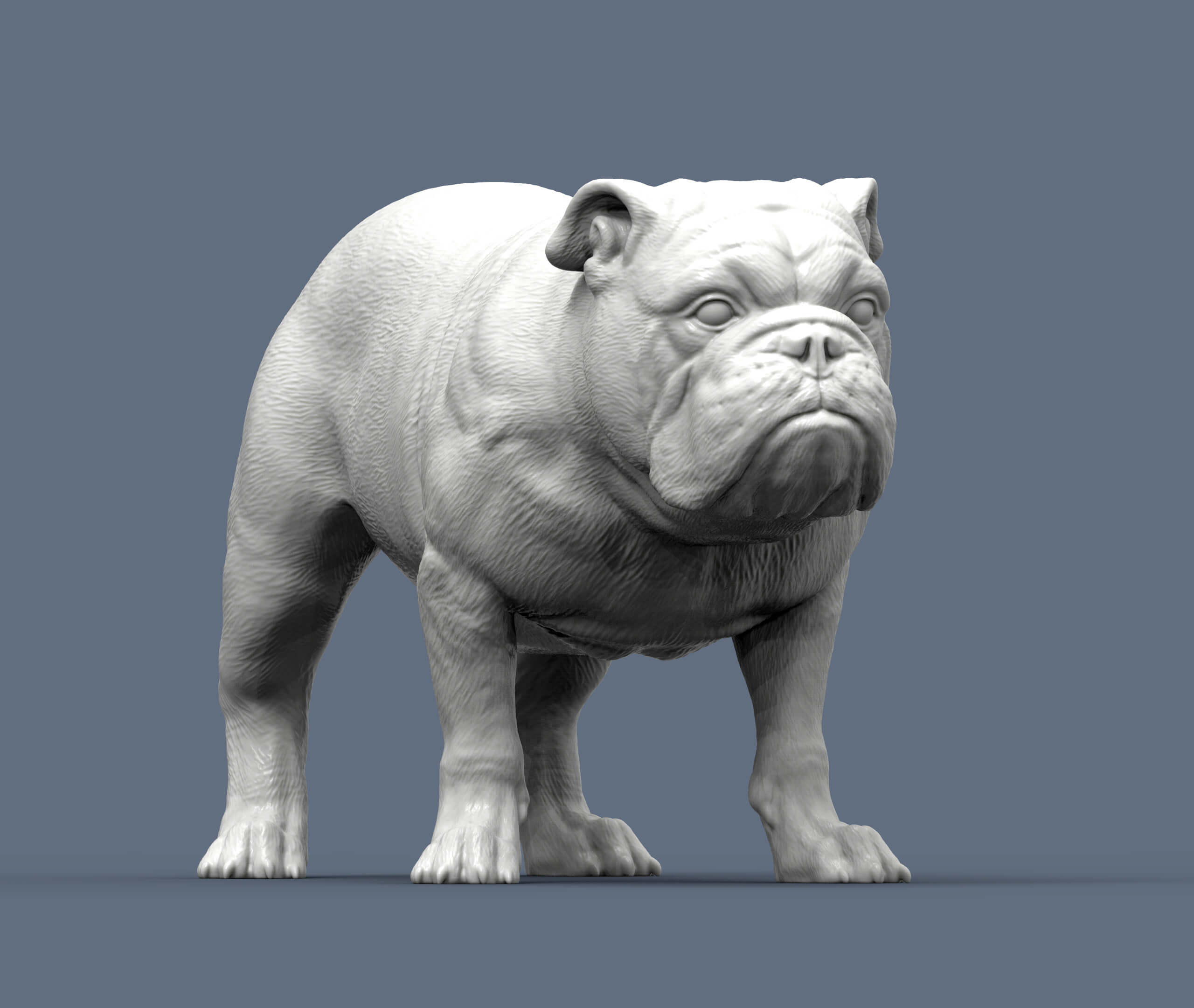 English Bulldog 3D Print Model by Alexander3dart