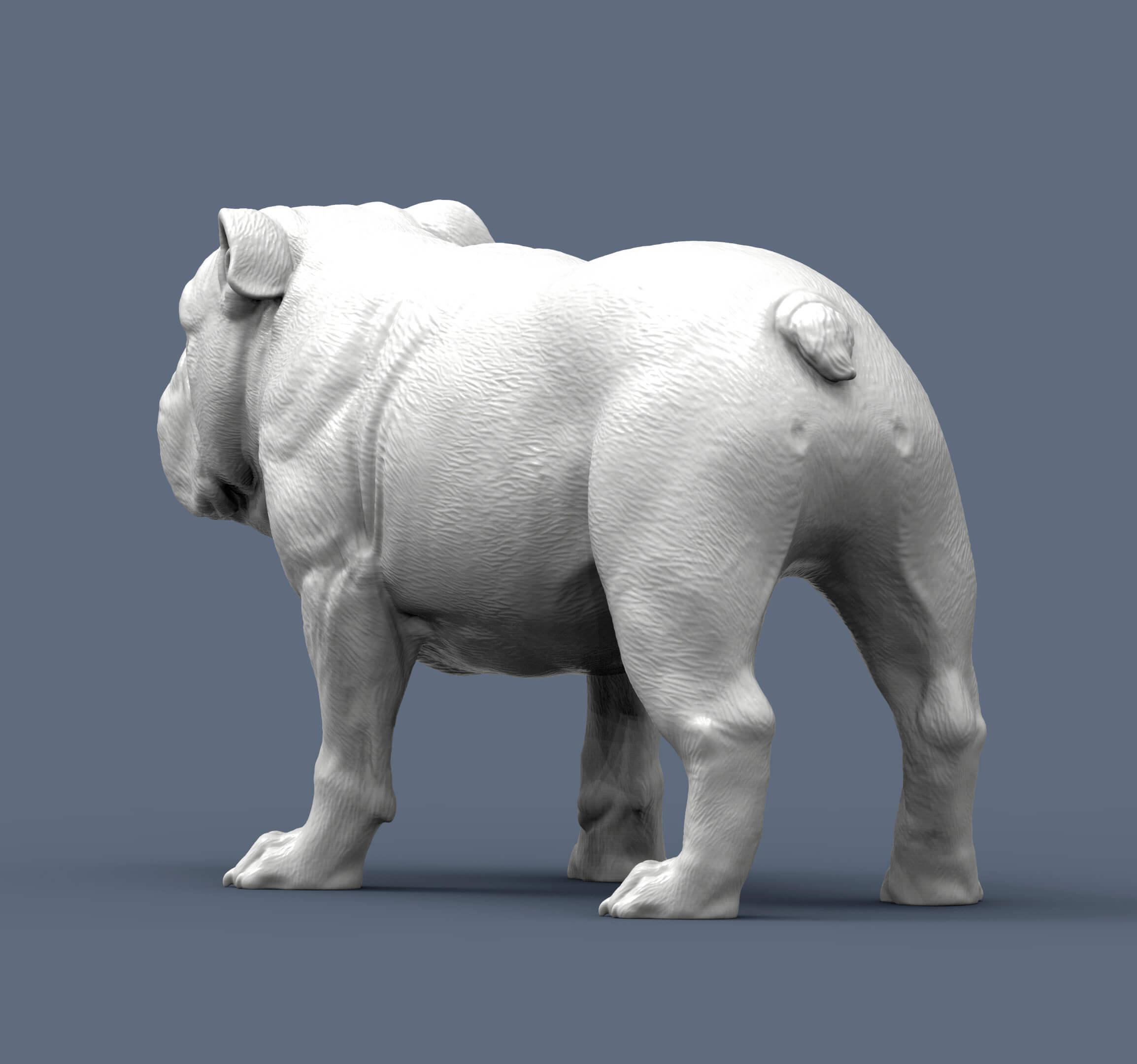 English Bulldog 3D Print Model by Alexander3dart