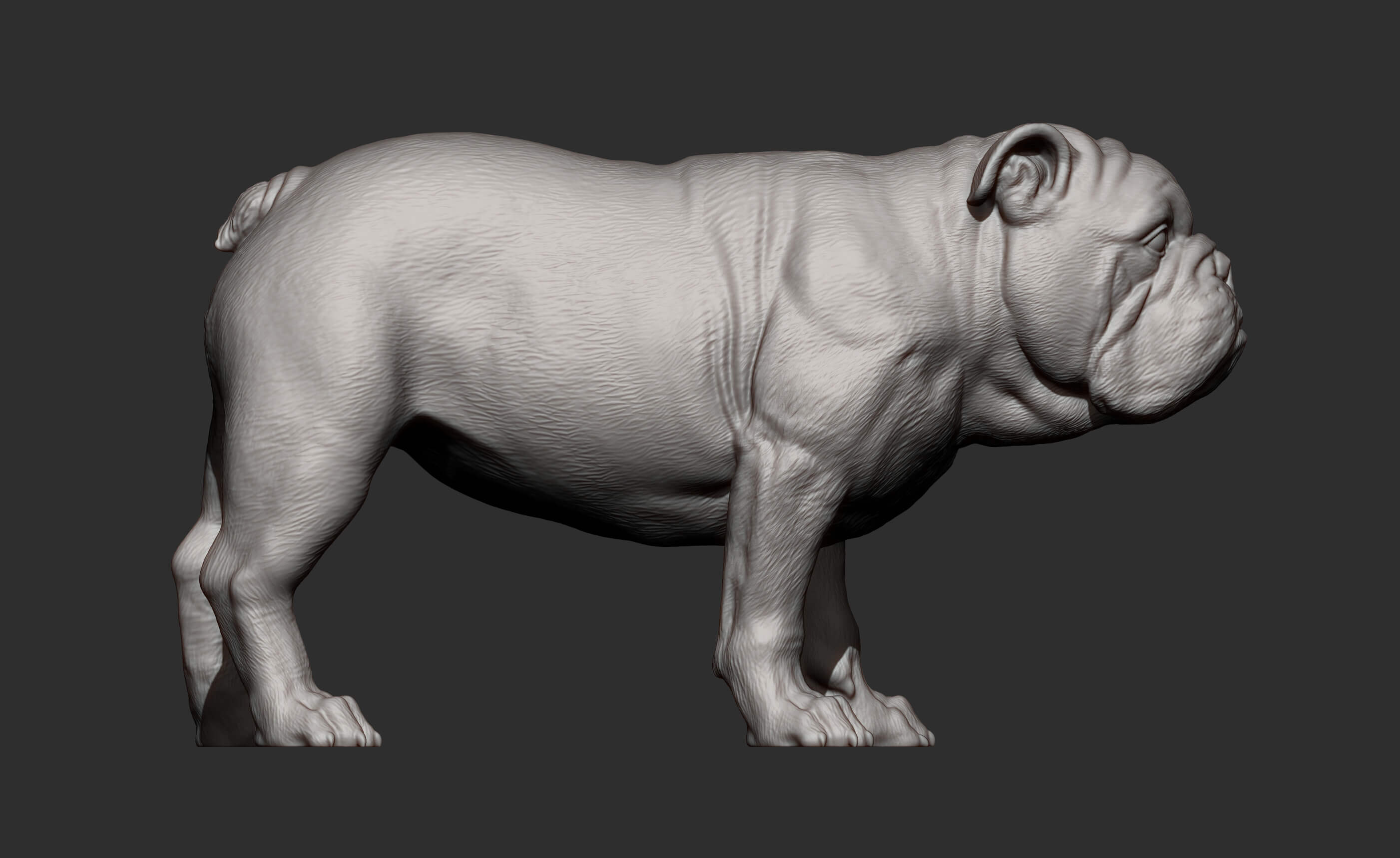 English Bulldog 3D Print Model by Alexander3dart