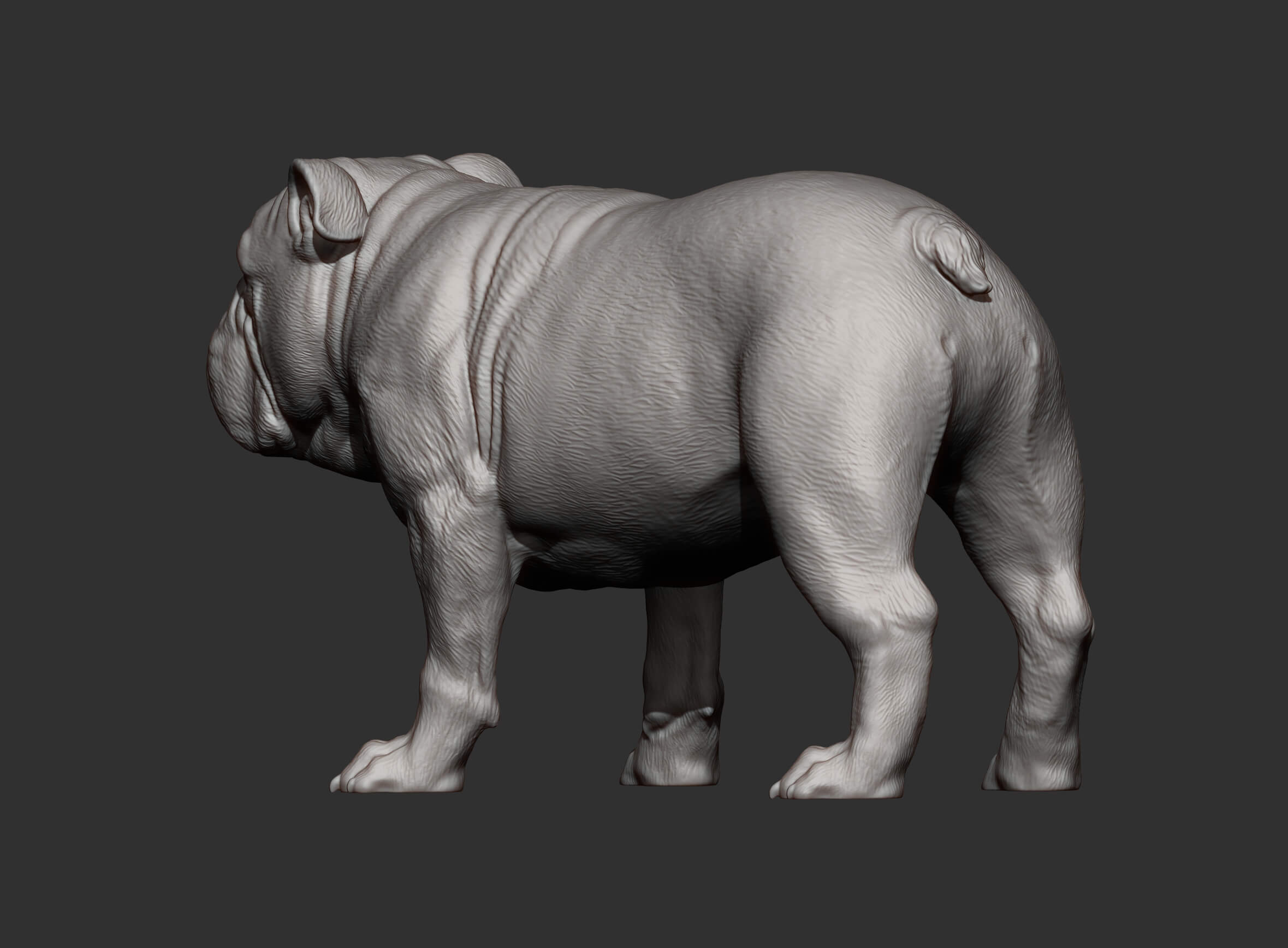 English Bulldog 3D Print Model by Alexander3dart