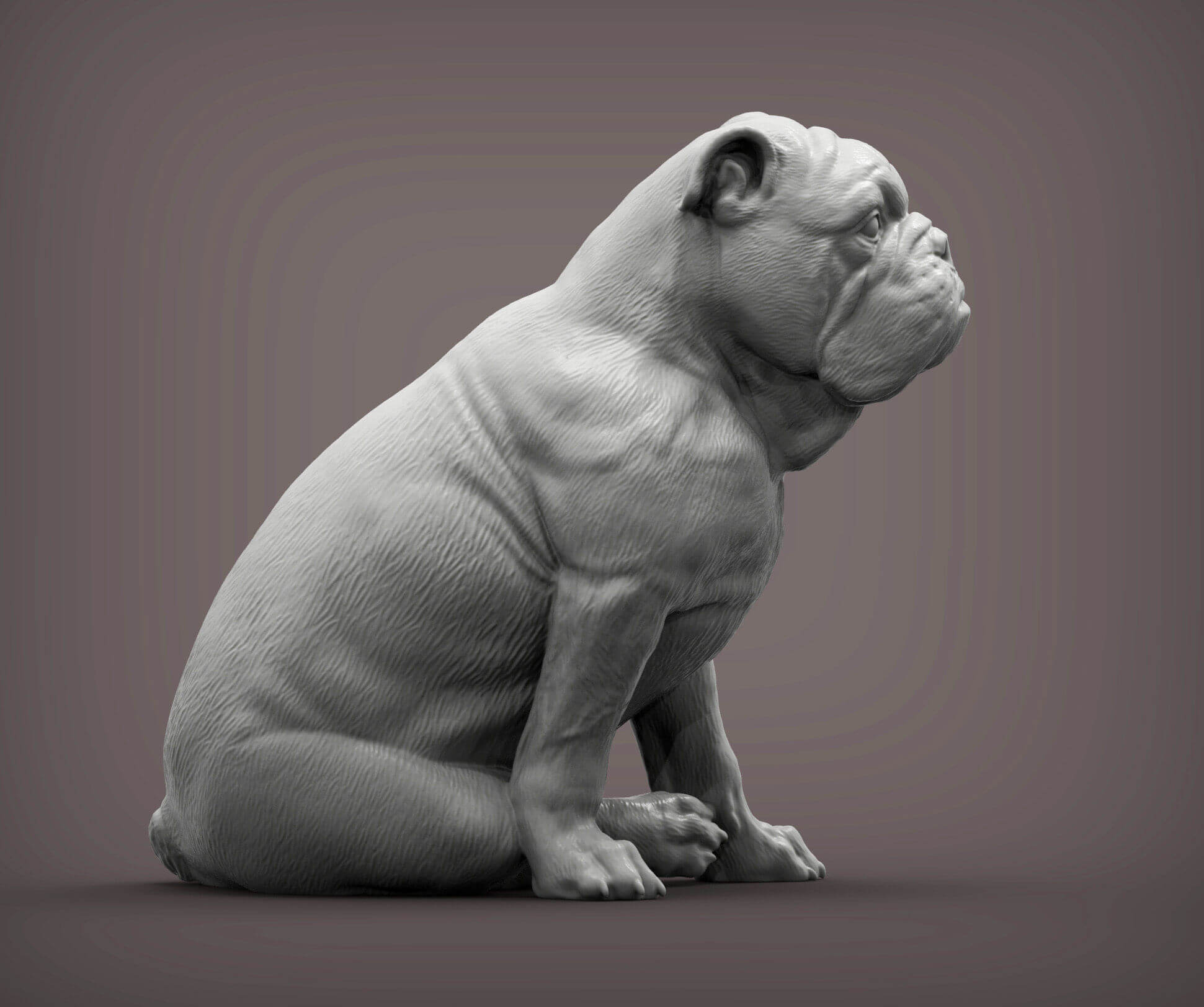 English Bulldog 3D Print Model by Alexander3dart