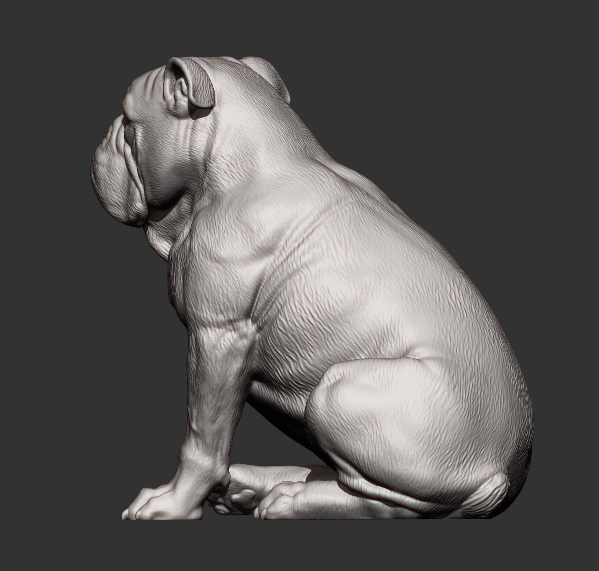 English Bulldog 3D Print Model by Alexander3dart