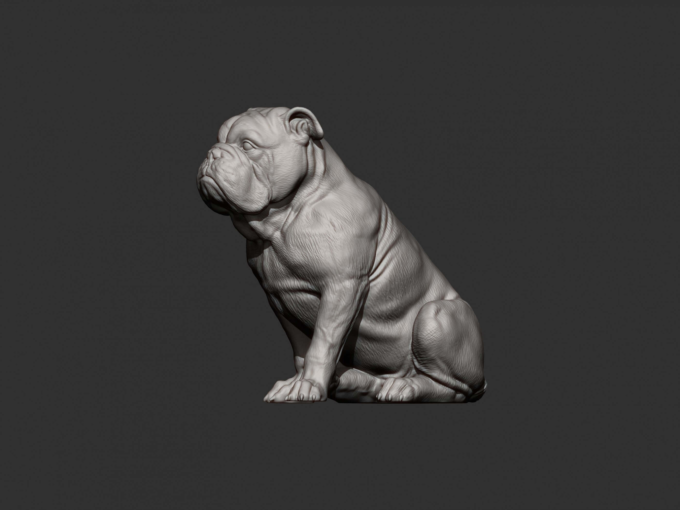 English Bulldog 3D Print Model by Alexander3dart